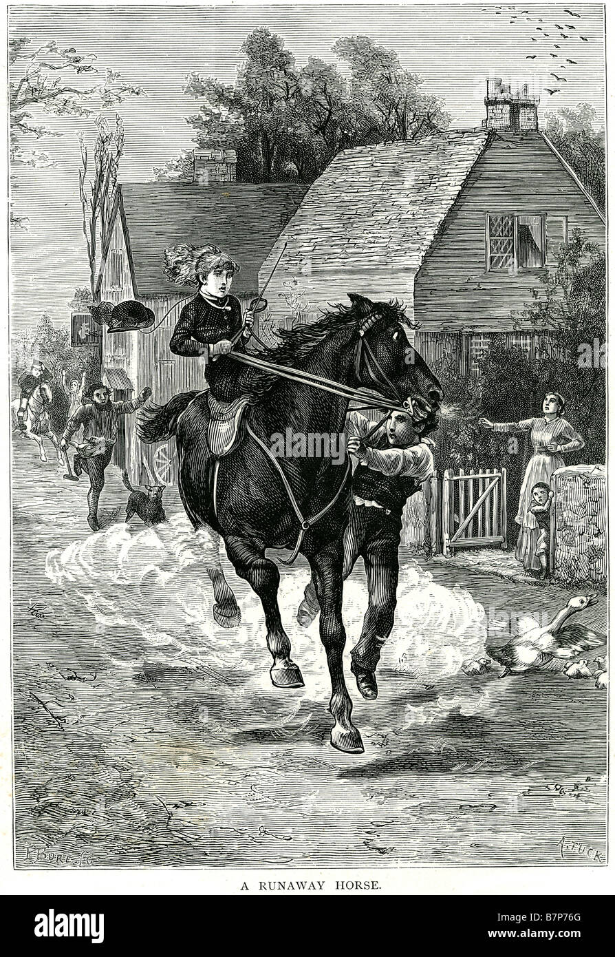 Runaway horse riding street gallop bolting scared learning farm animal ...