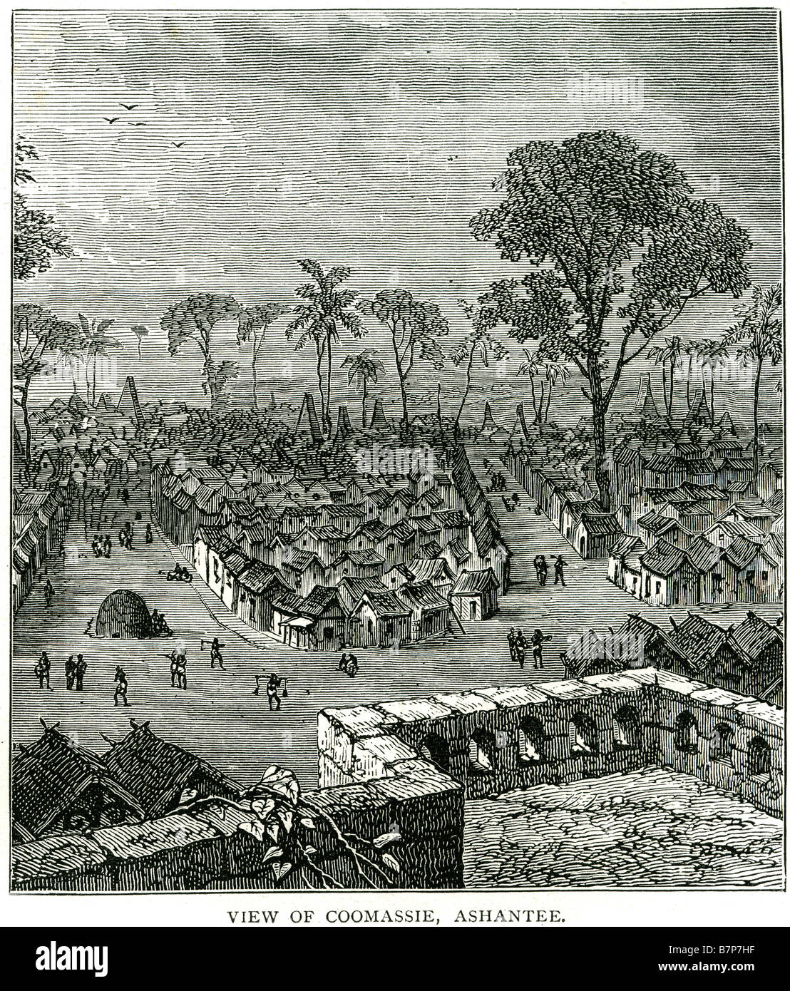 Ashantee war hi-res stock photography and images - Alamy