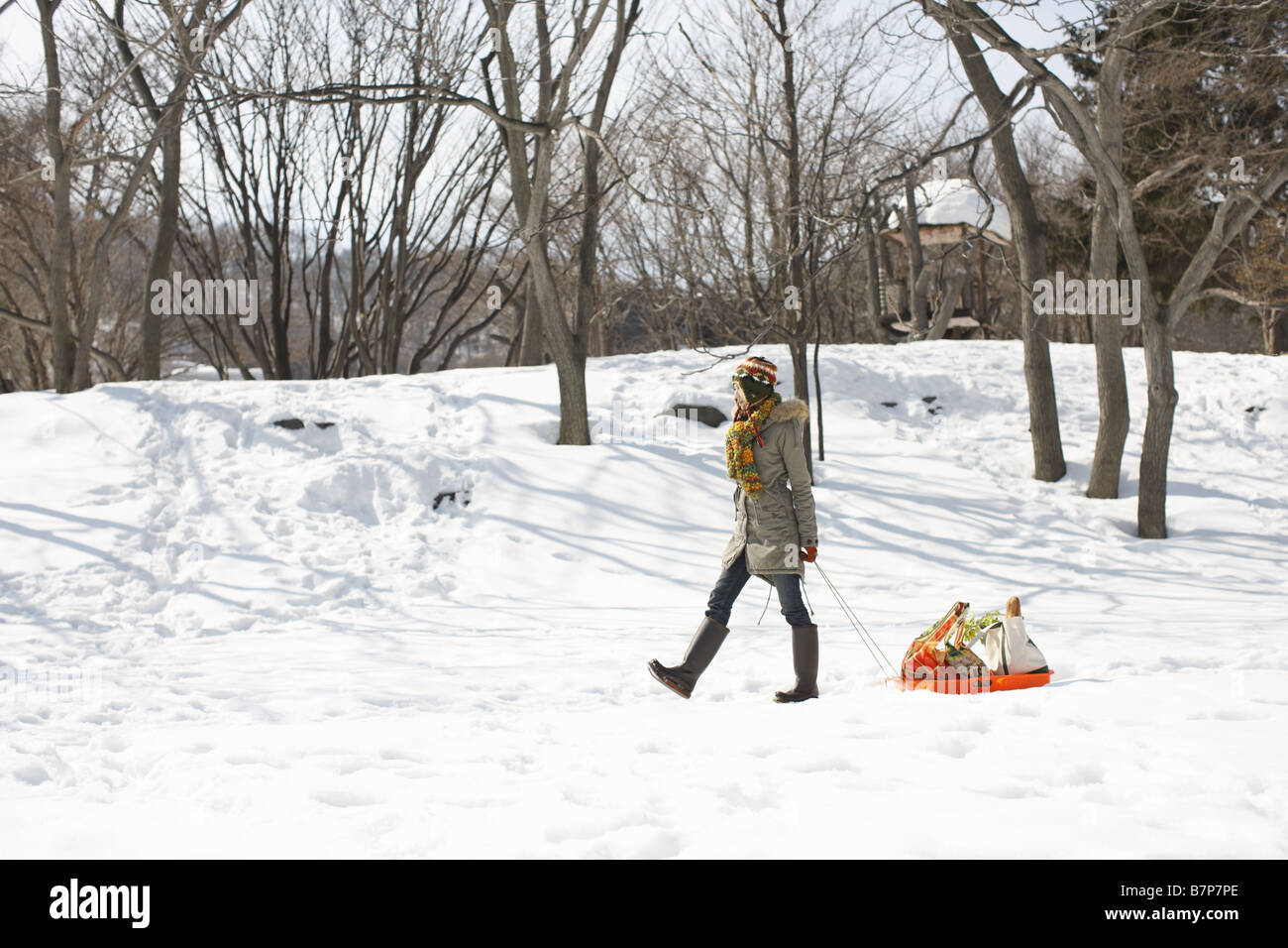 A woman carrying shopping bag with a sled Stock Photo - Alamy
