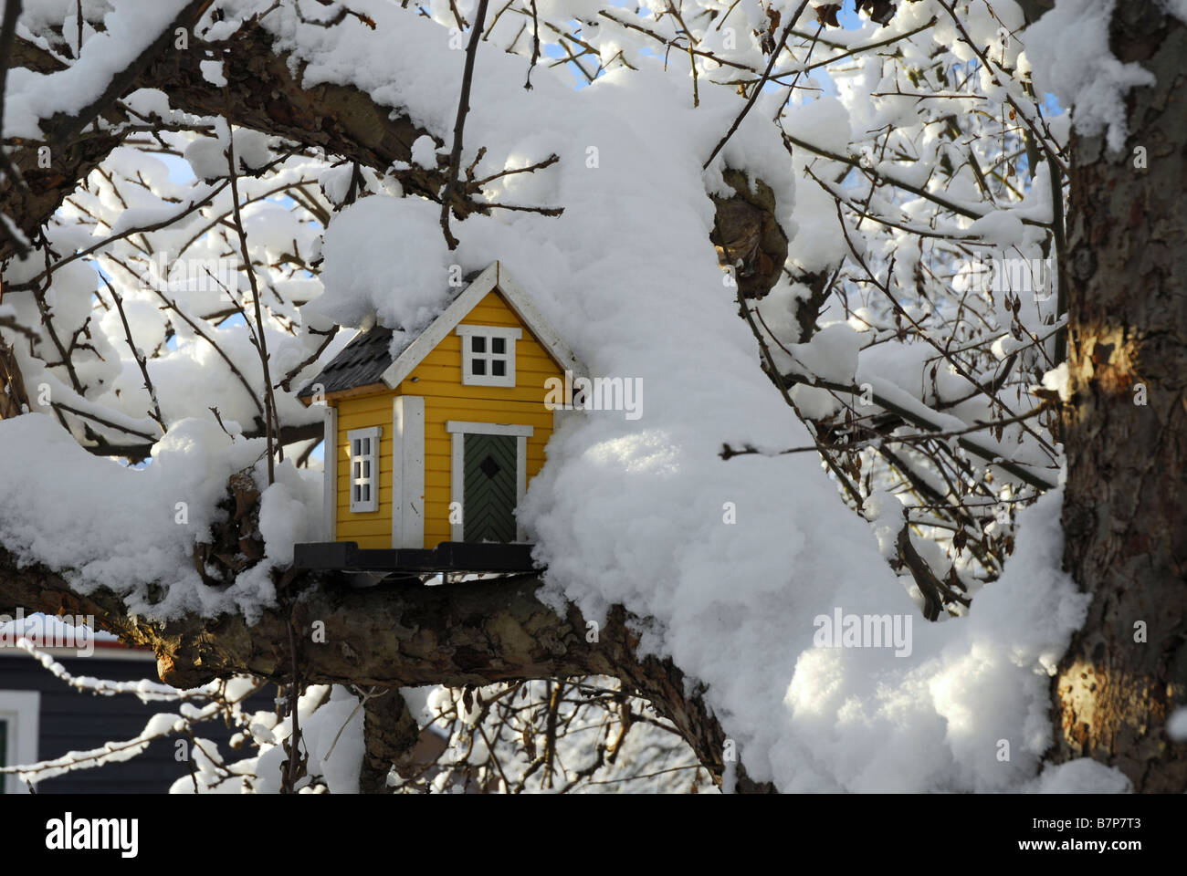 Nesting box in winter landscape with snow Stock Photo - Alamy