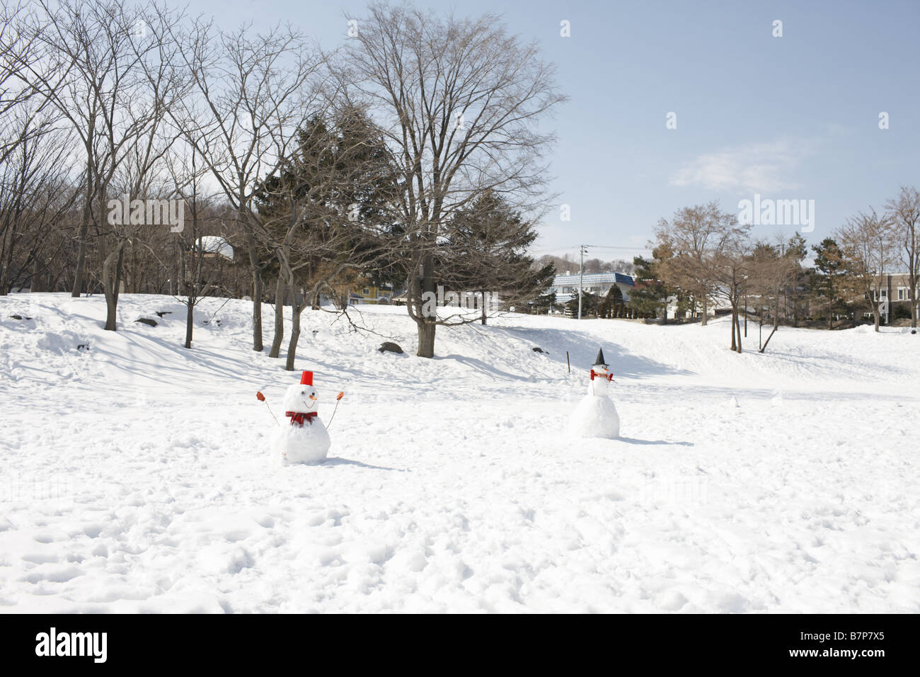 Dead snowman hi-res stock photography and images - Alamy