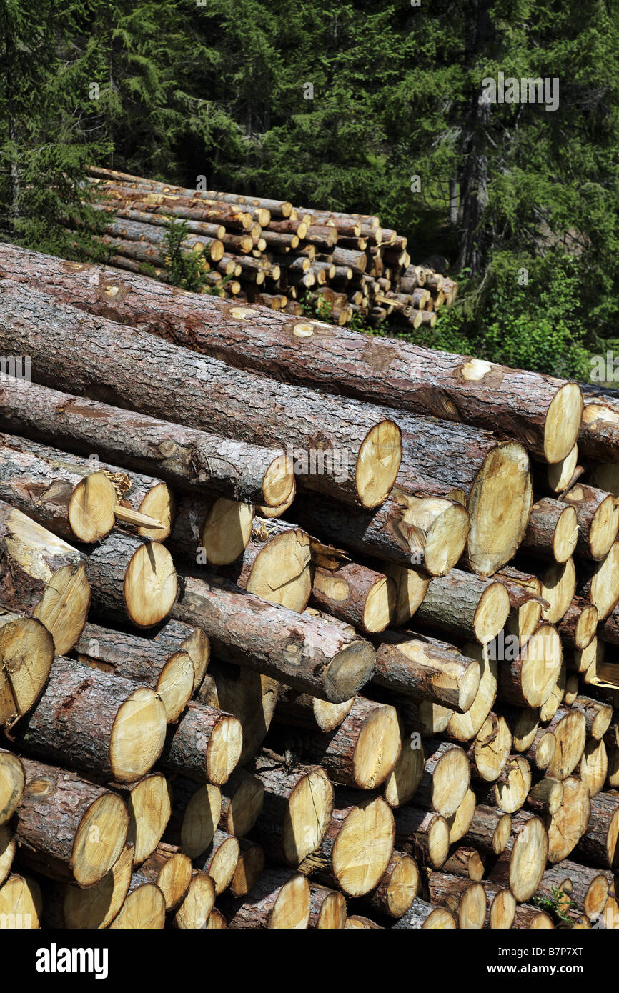 Deforestation vertical hi-res stock photography and images - Alamy