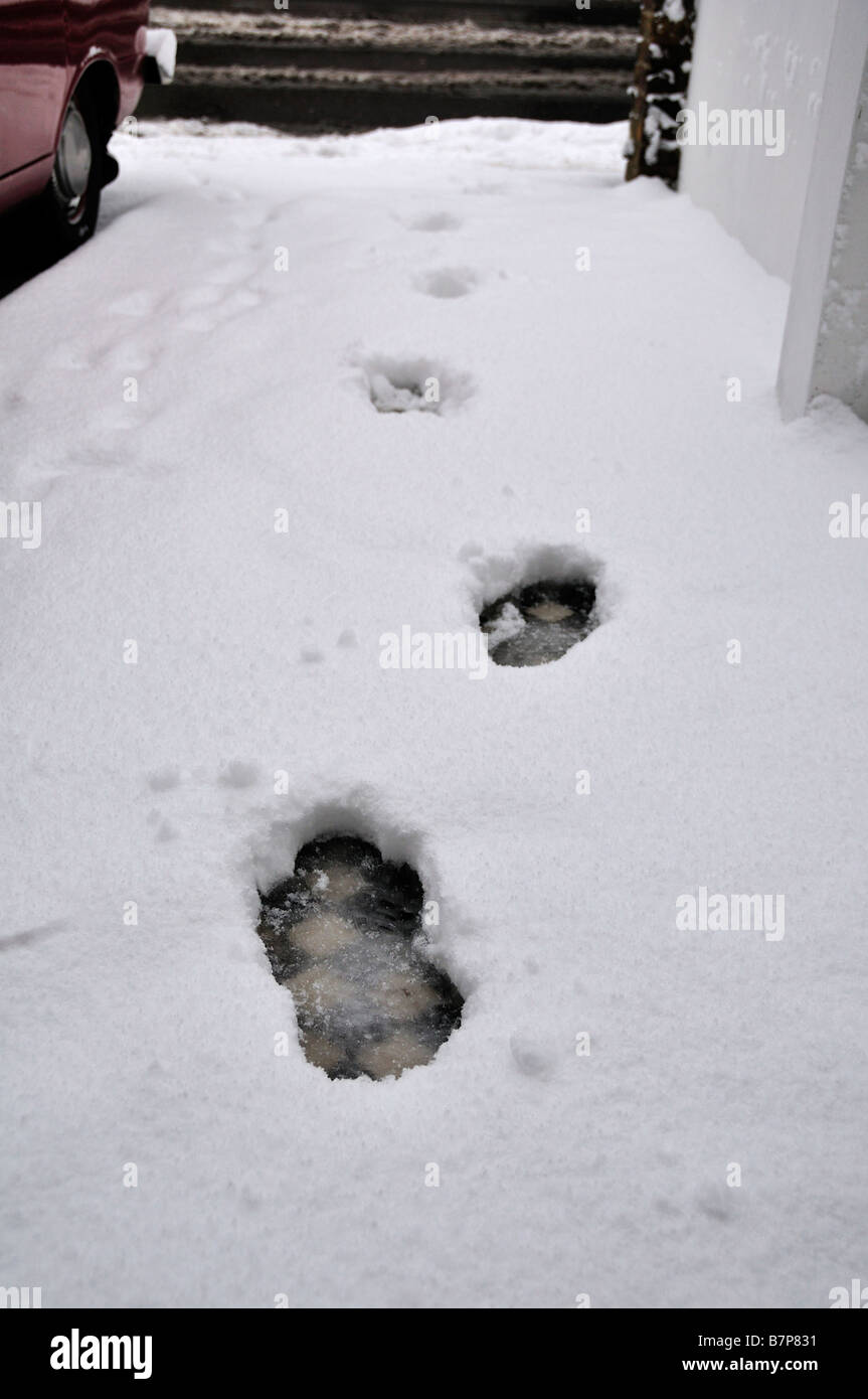 steps in the snow Stock Photo - Alamy