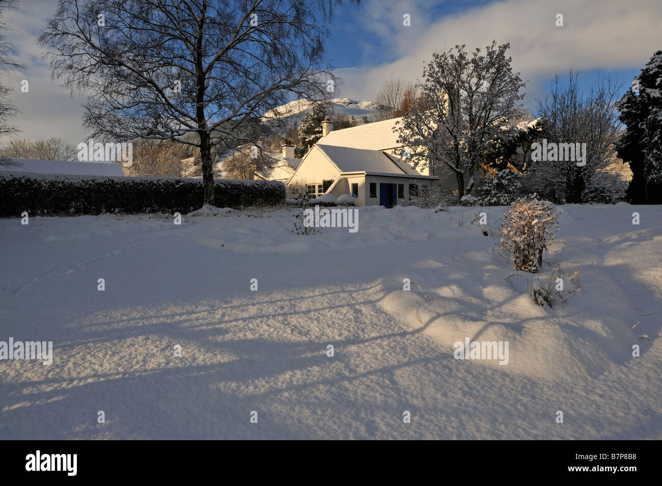 Snow covered trees in a country house and garden in winter Killin ...