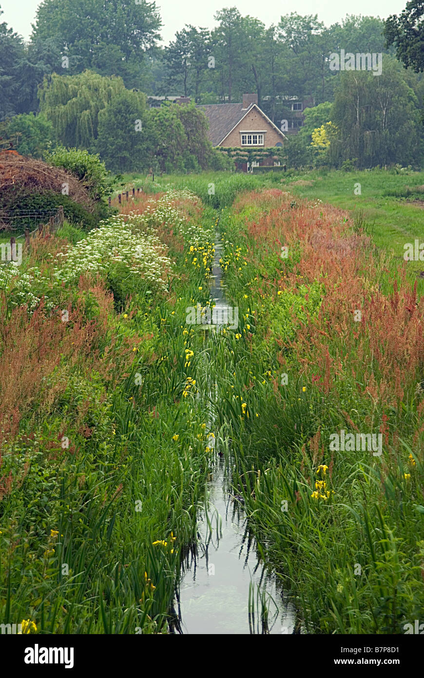 Ditch houses hi-res stock photography and images - Alamy