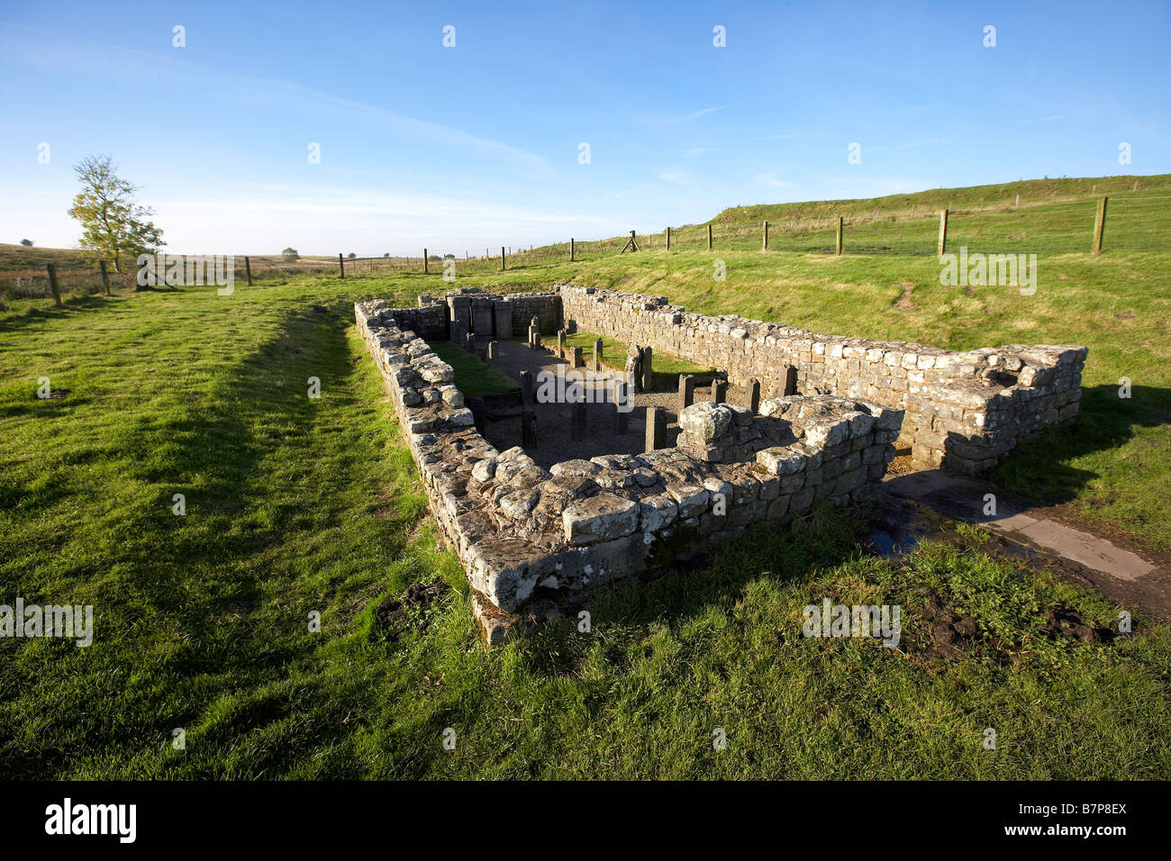 Roman Carrawburgh Temple of Mithras on Hadrian s Wall Northumberland England UK Stock Photo - Alamy