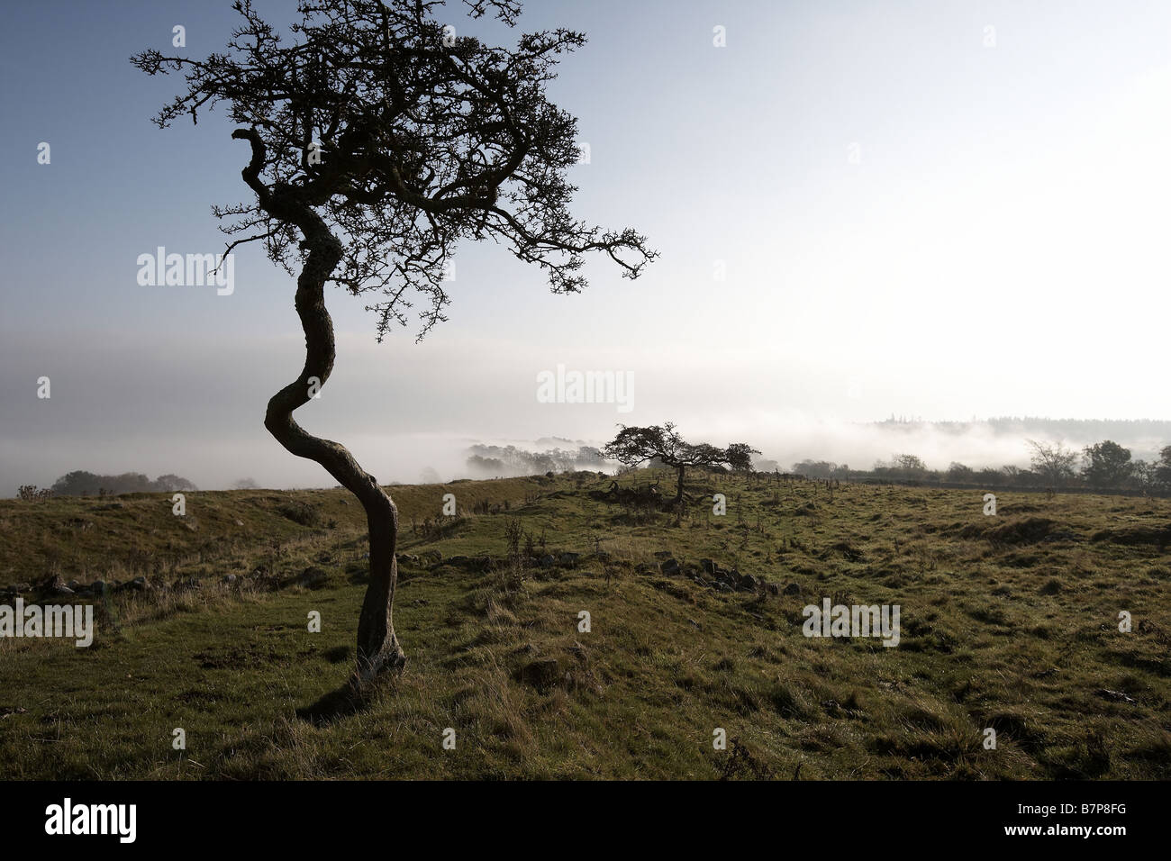 Picts wall hi-res stock photography and images - Alamy