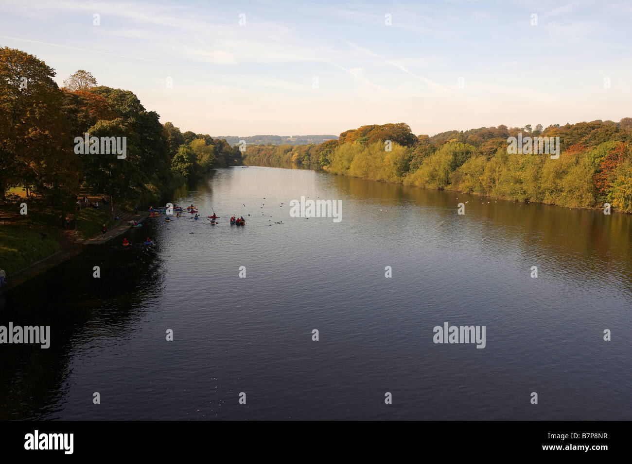 River tyne salmon hi-res stock photography and images - Alamy