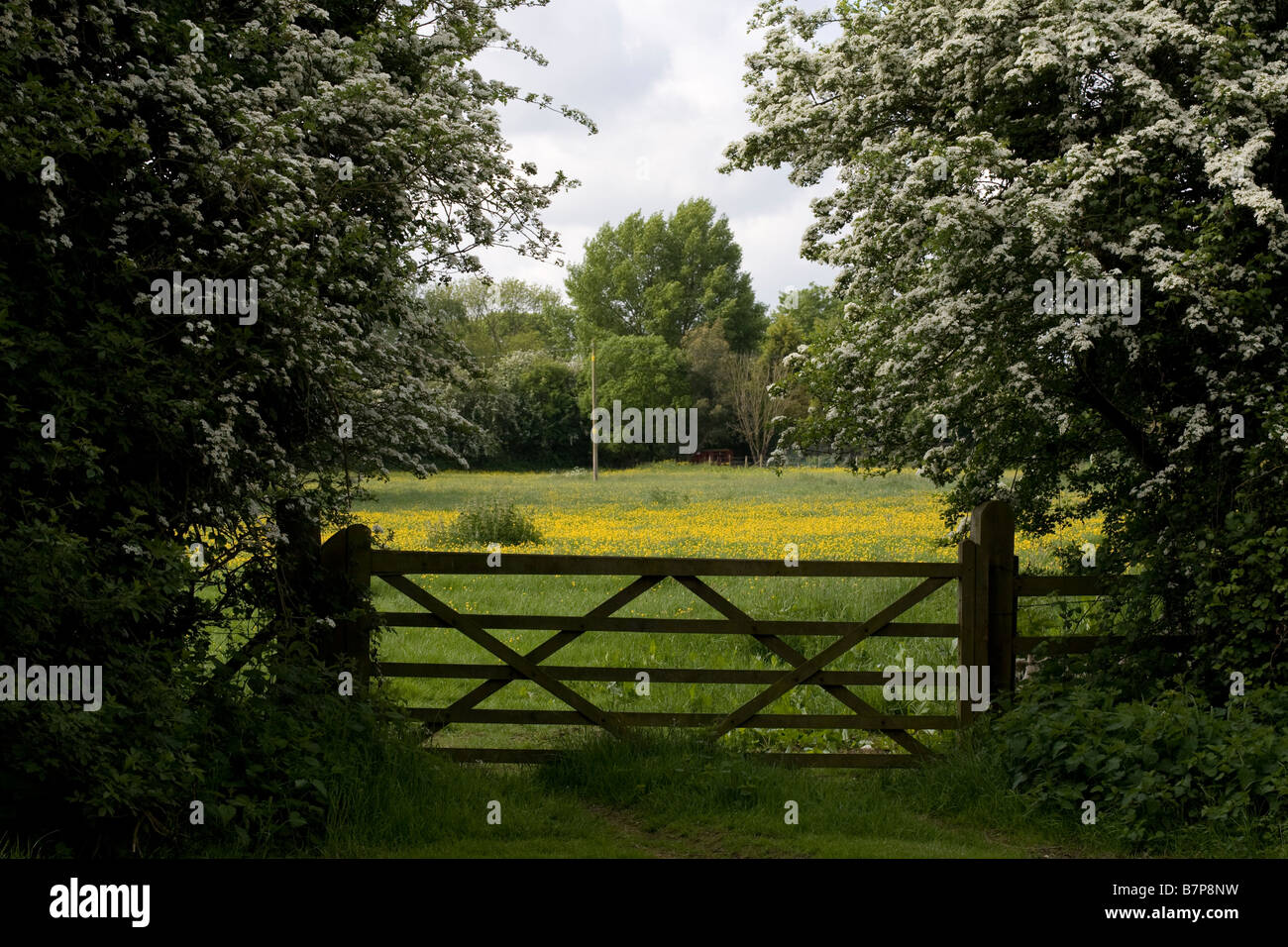 Silhouette field gate hi-res stock photography and images - Alamy