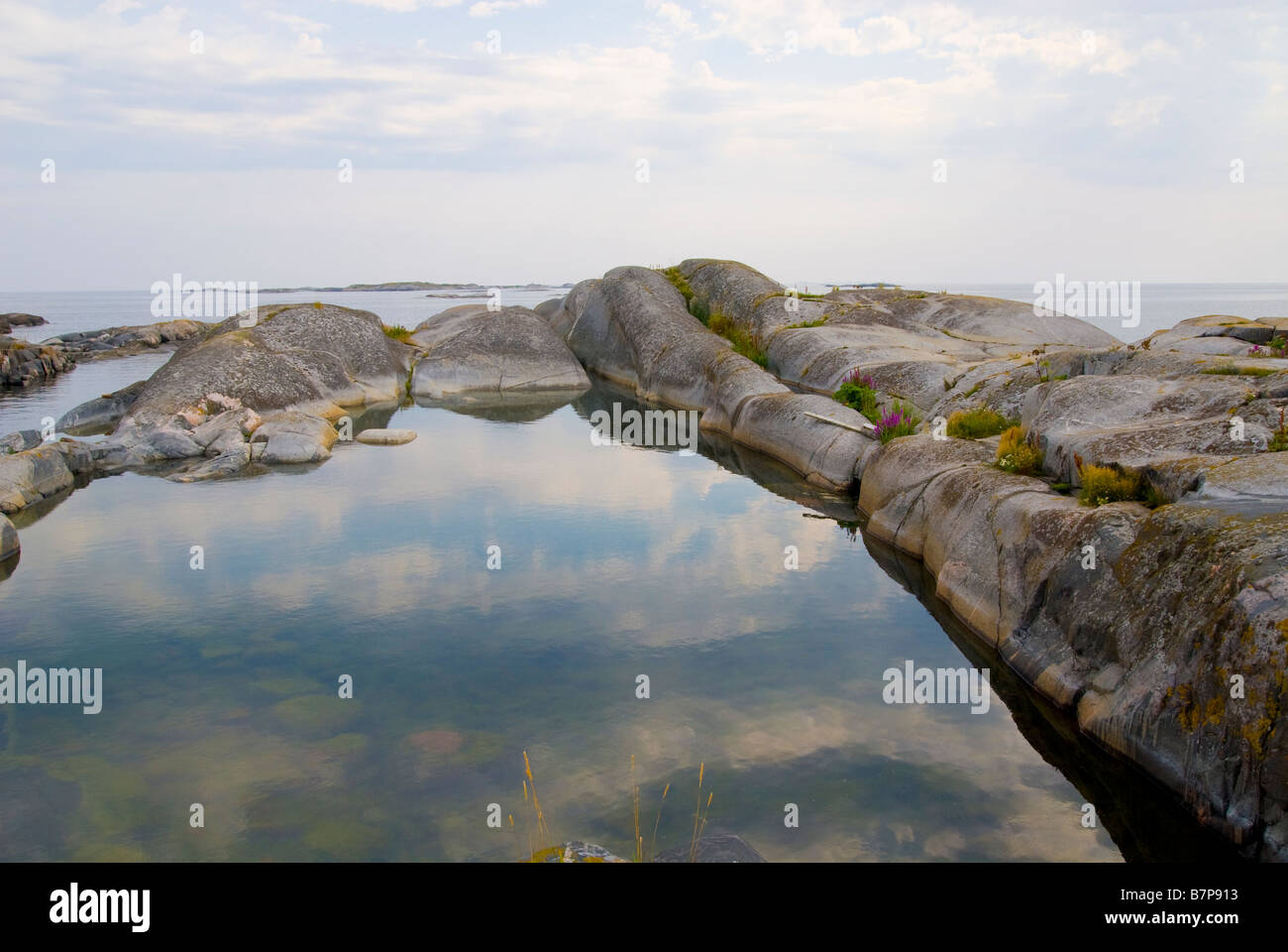 Skarv hi-res stock photography and images - Alamy