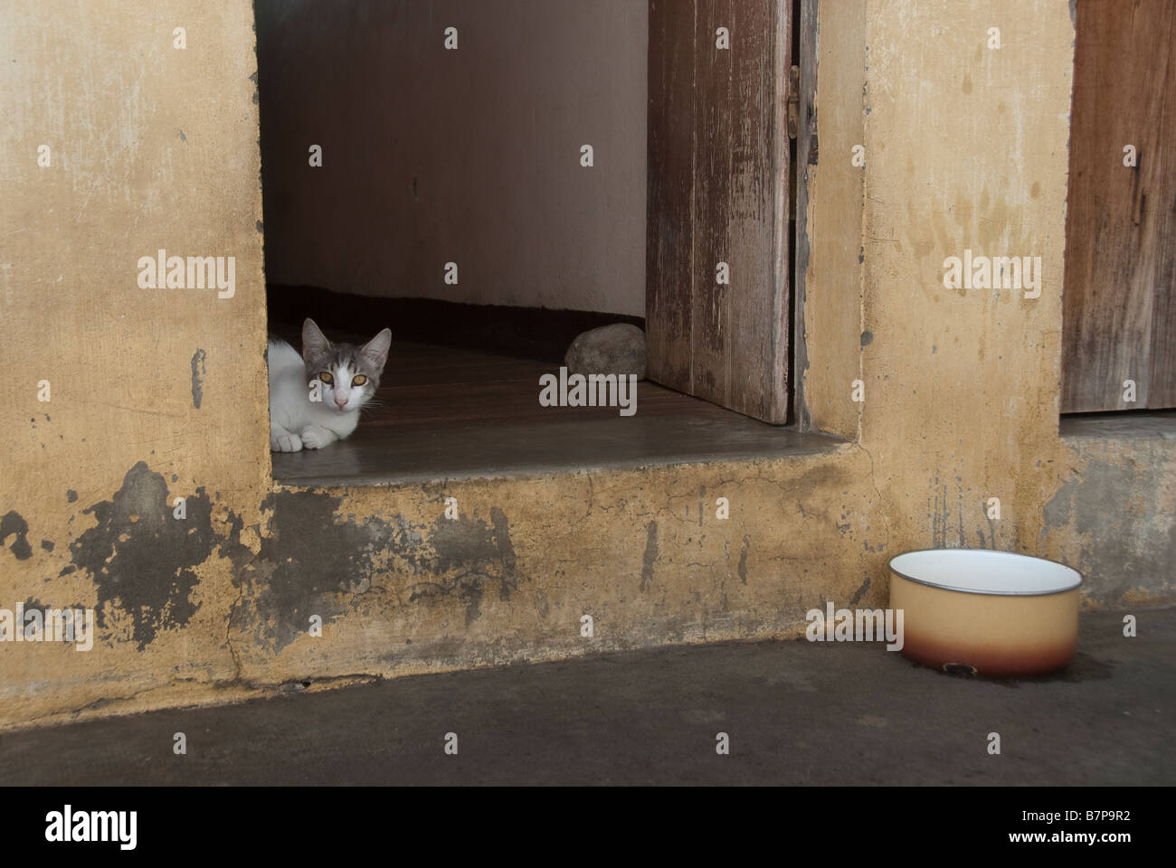 Martinique fort de france street hi-res stock photography and images ...