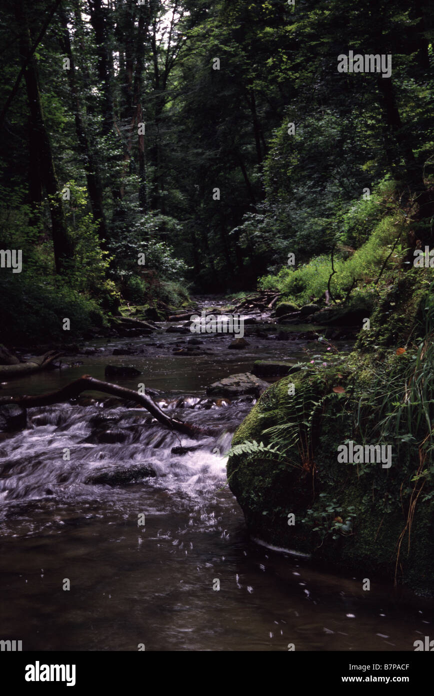 Mullerthal valley hi-res stock photography and images - Alamy