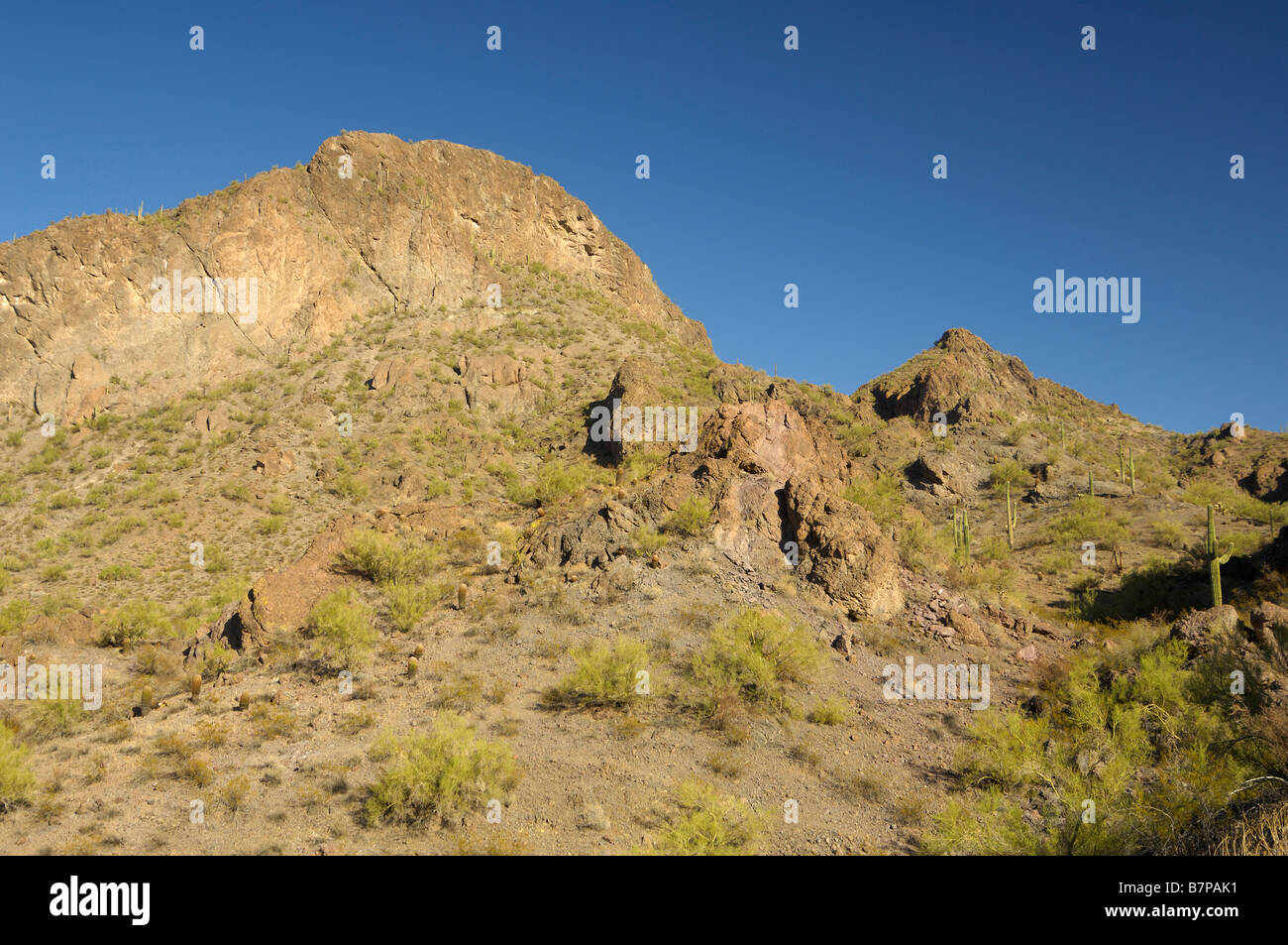 Picacho Peak State Park Arizona High Resolution Stock Photography and ...