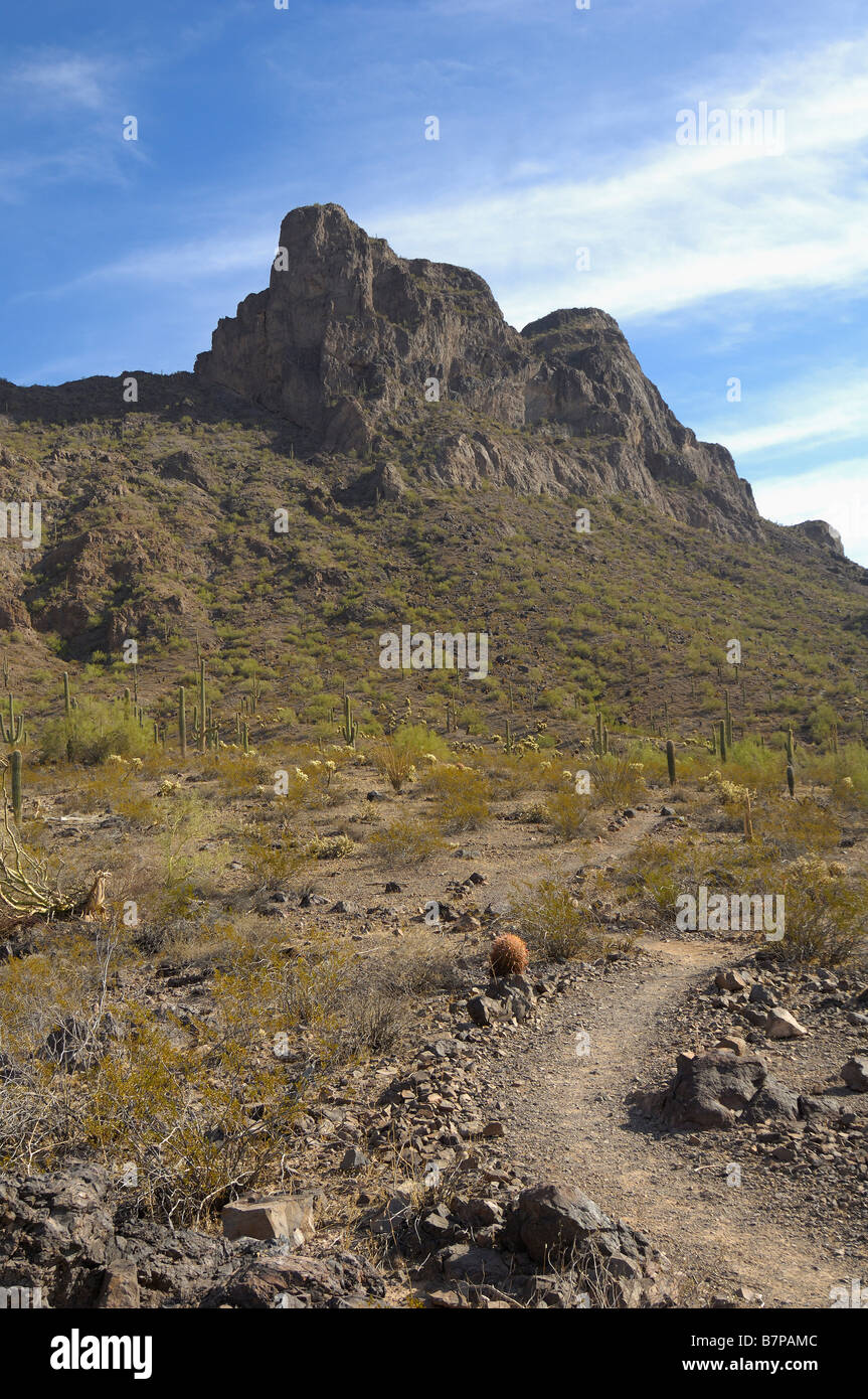 Picacho Peak State Park Arizona High Resolution Stock Photography and ...