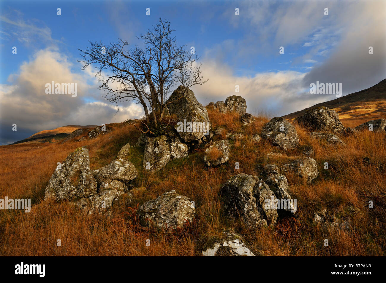 Outcrop of rocks hi-res stock photography and images - Alamy