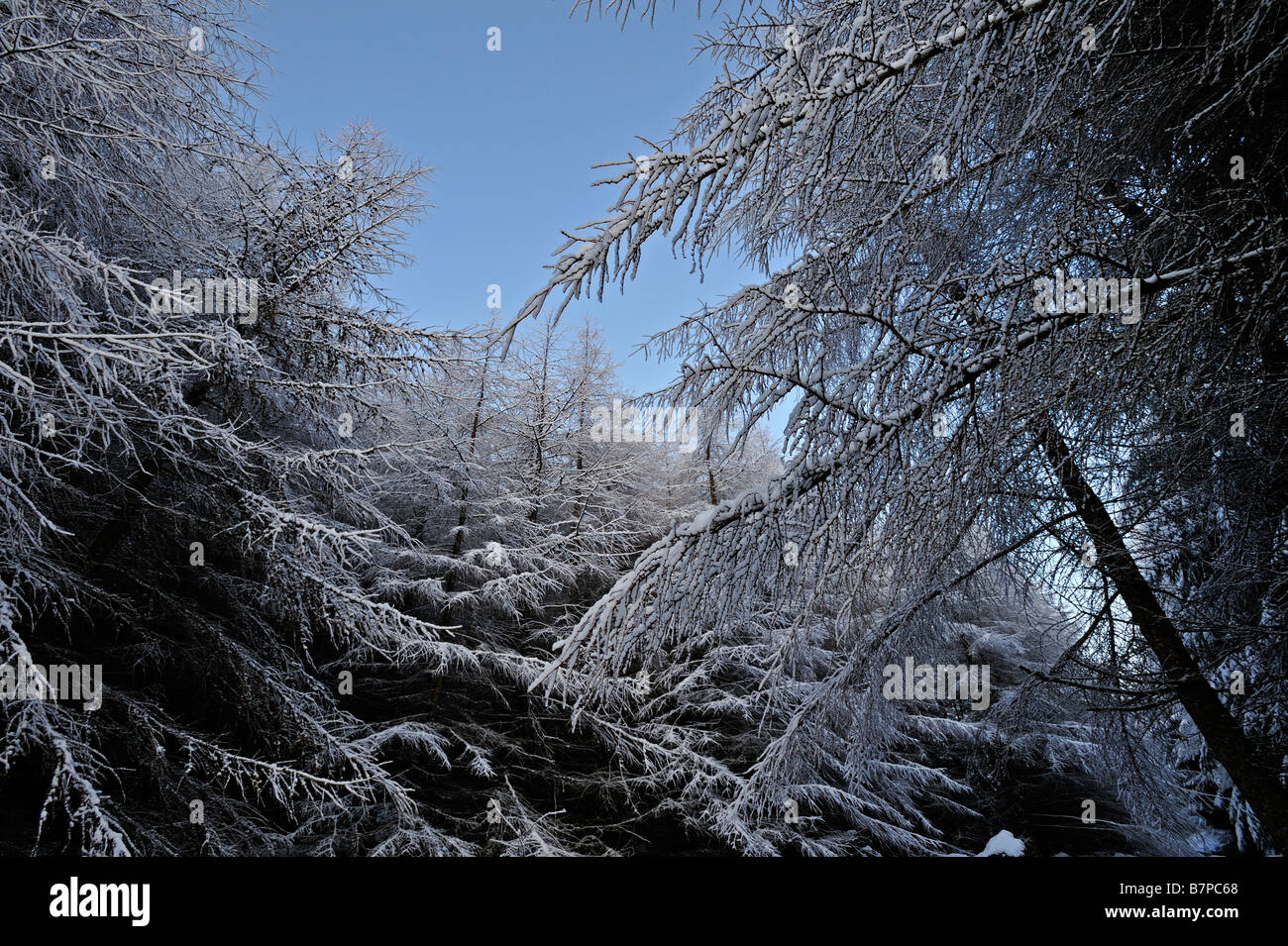 Mantle of snow hi-res stock photography and images - Alamy