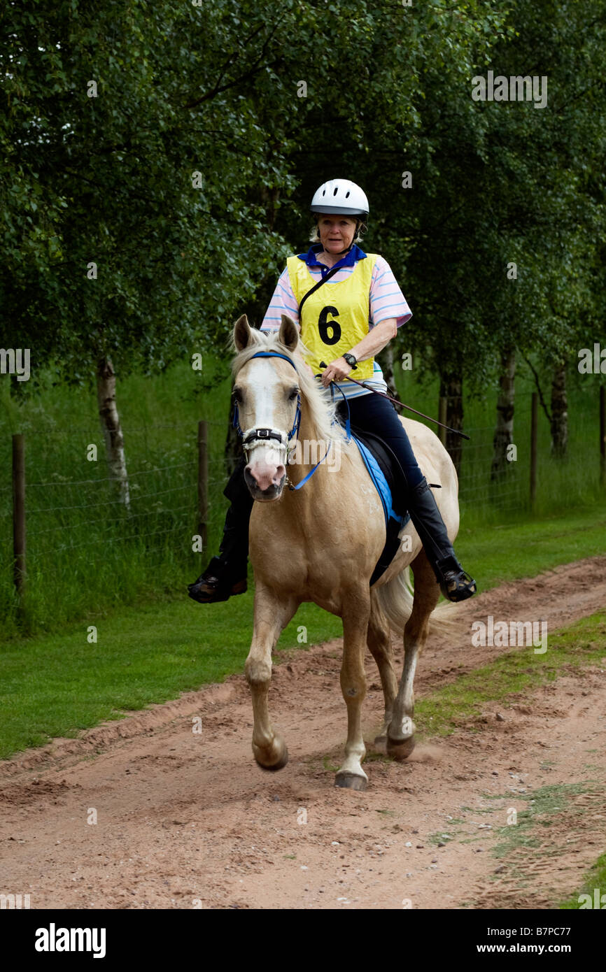 Endurance riding horse hi-res stock photography and images - Alamy