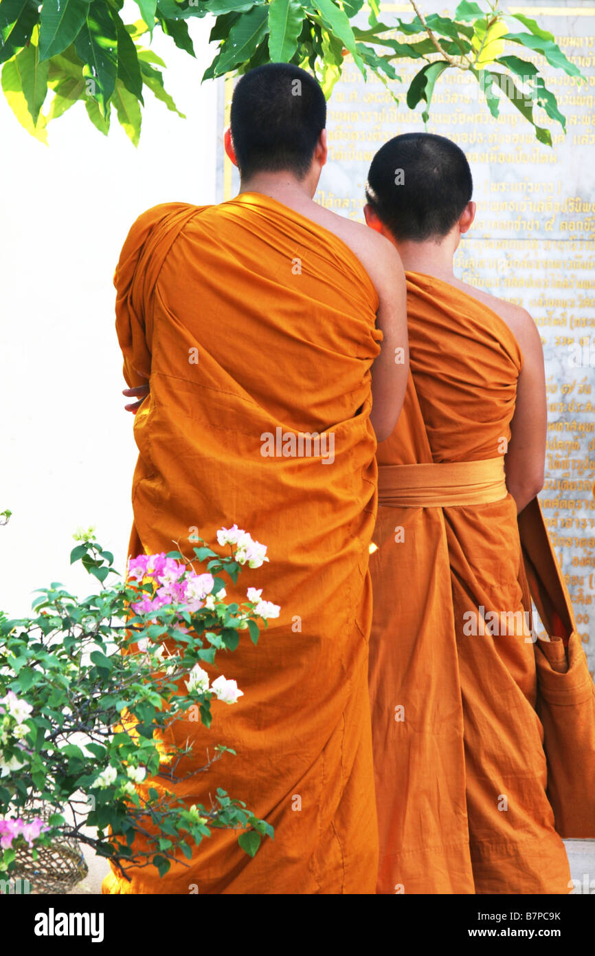 Monk orange hi-res stock photography and images - Alamy