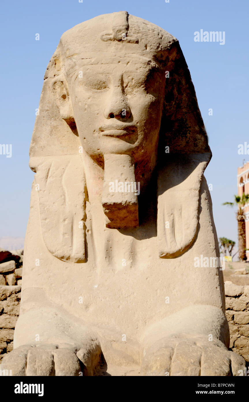 Sphinx at the Temple at Luxor in Egypt Stock Photo - Alamy
