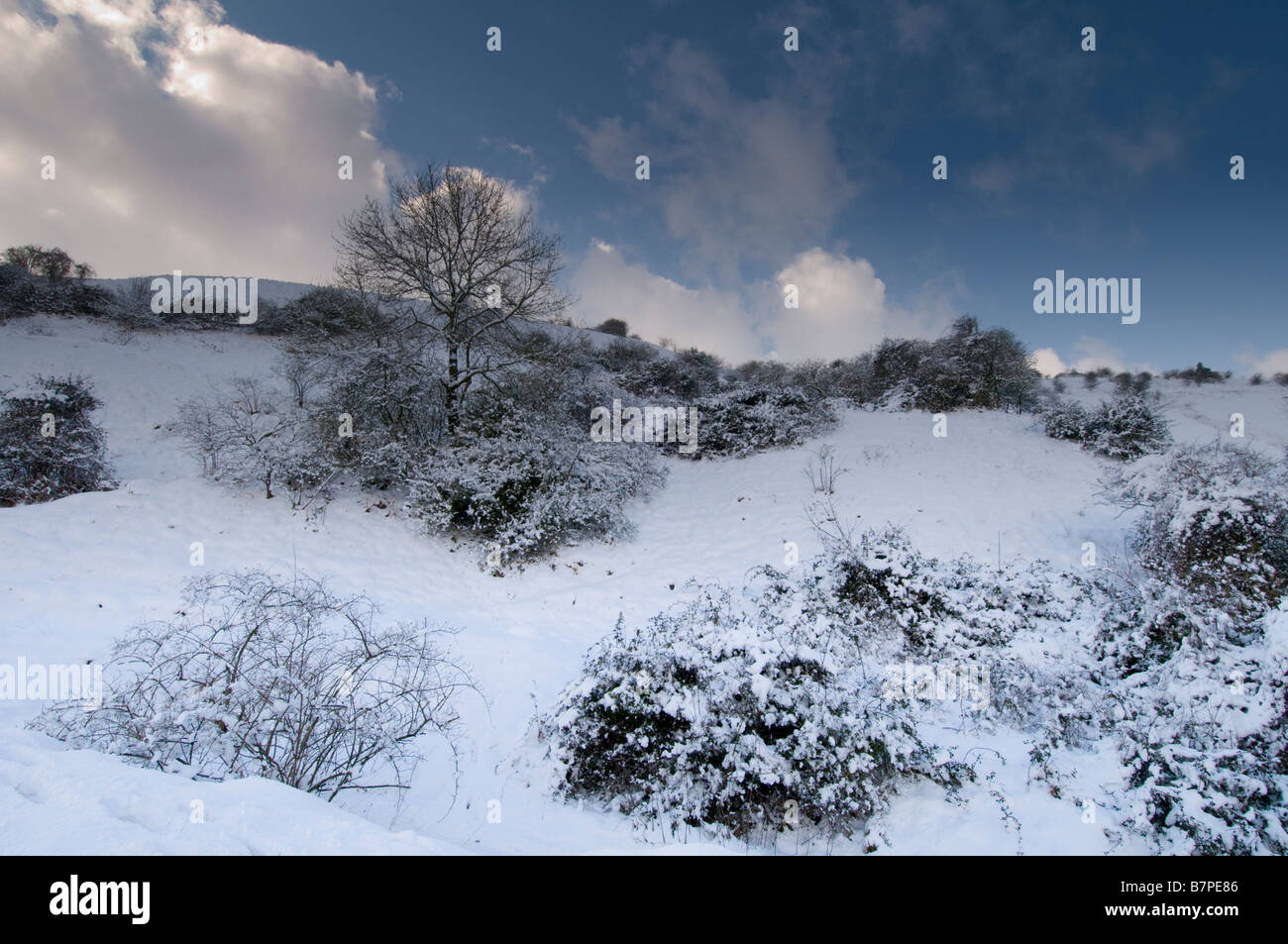 South downs, Sussex, England after snowfall Stock Photo - Alamy