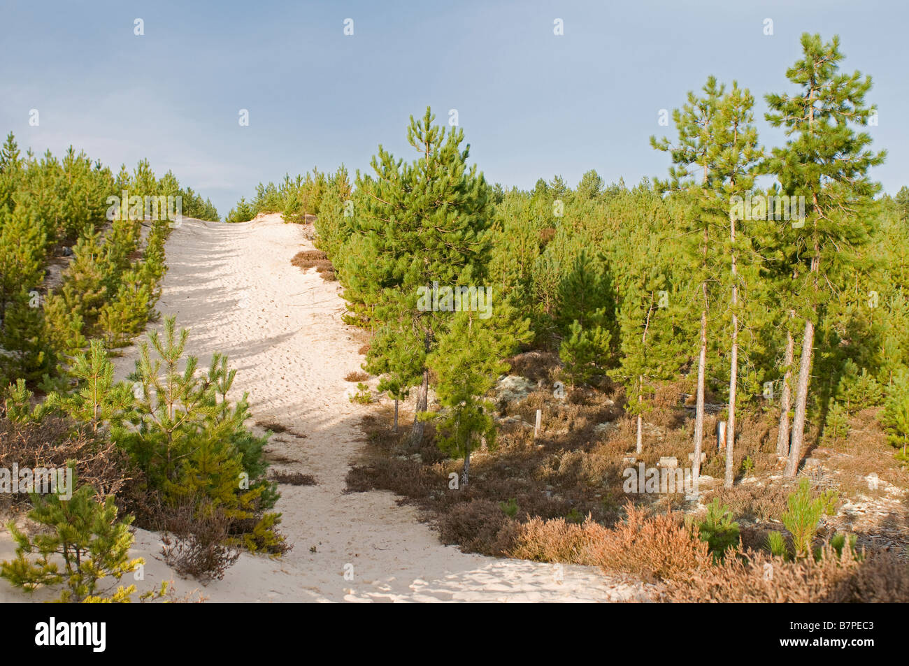 Agricultural sand paths hi-res stock photography and images - Alamy