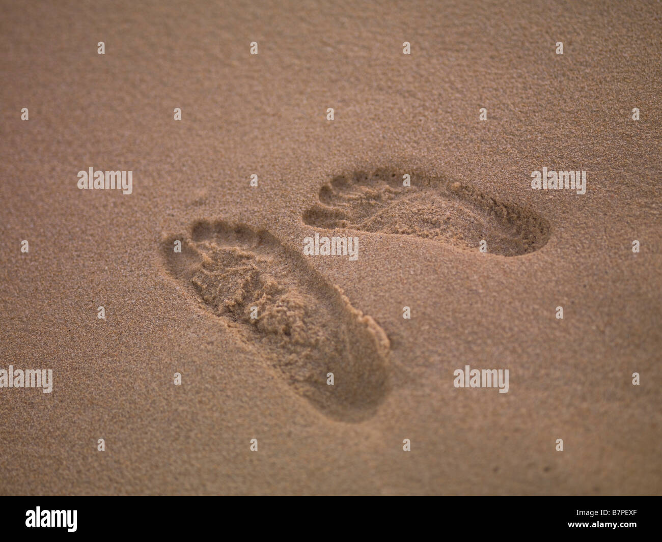Footprints in the sand Stock Photo - Alamy