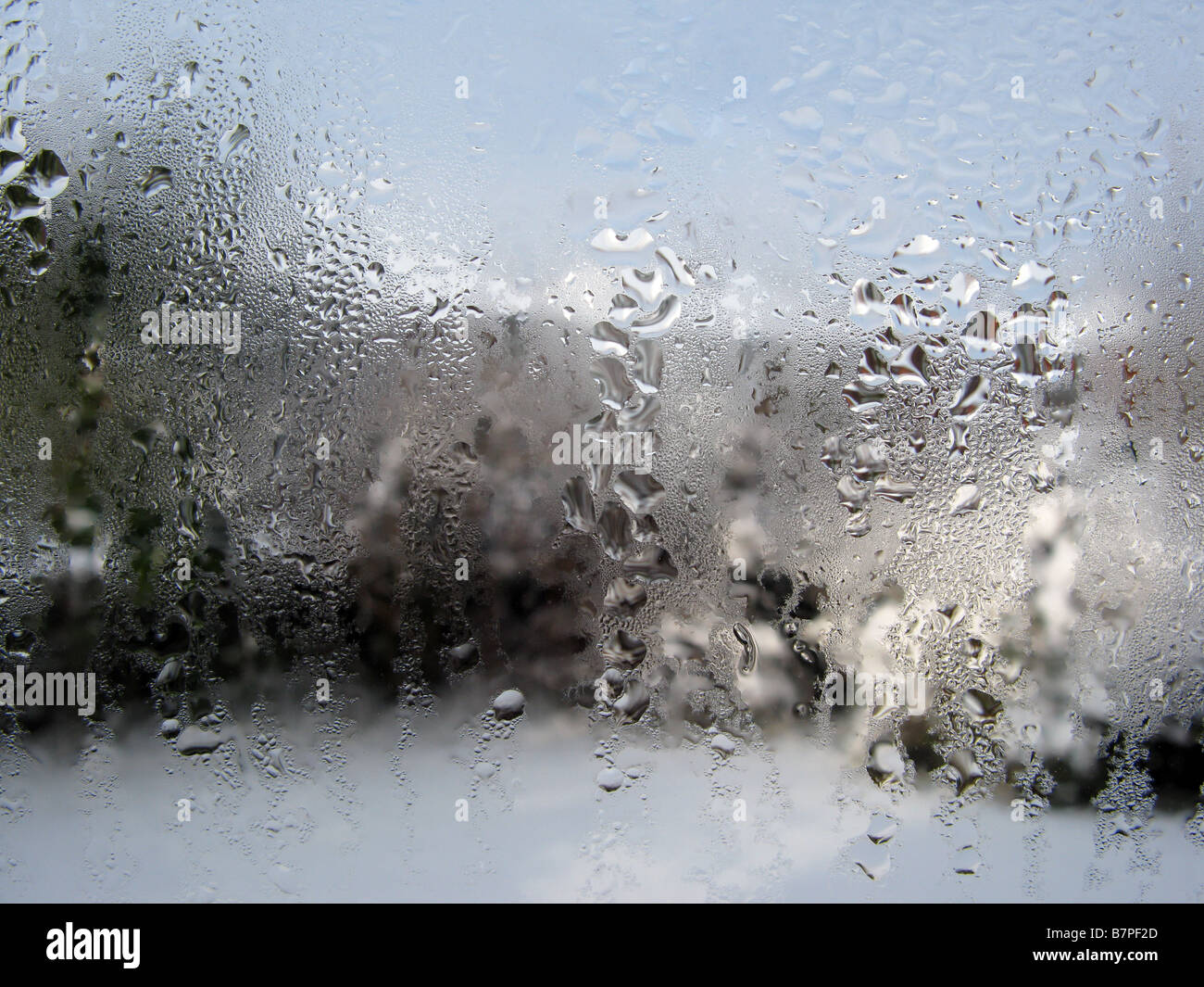Condensation on window Stock Photo - Alamy