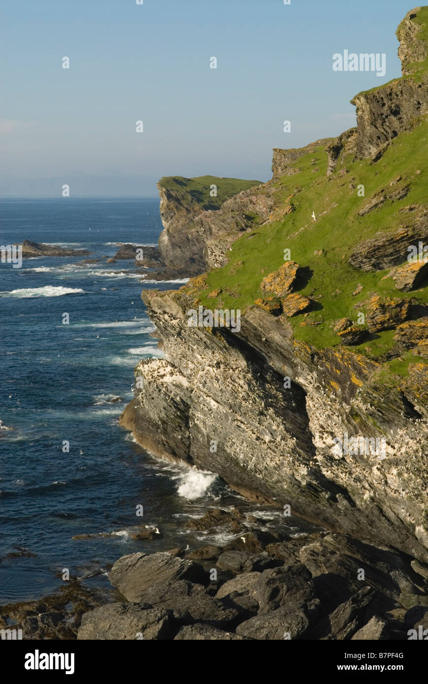 West coast cliffs on isle of Colonsay seabirds breeding Isle of Mull in ...