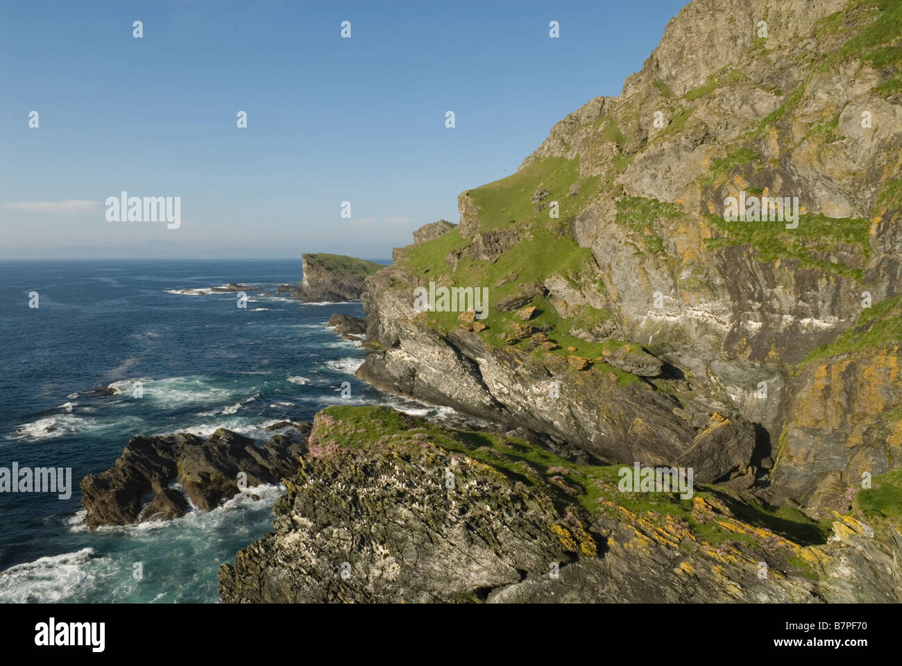 West coast cliffs on isle of Colonsay seabirds breeding Isle of Mull in ...