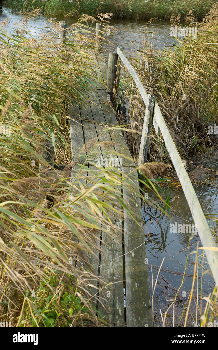 bathing platform, Sweden Stock Photo - Alamy