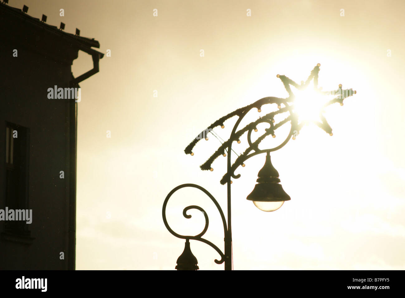 Star of betlehem hi-res stock photography and images - Alamy