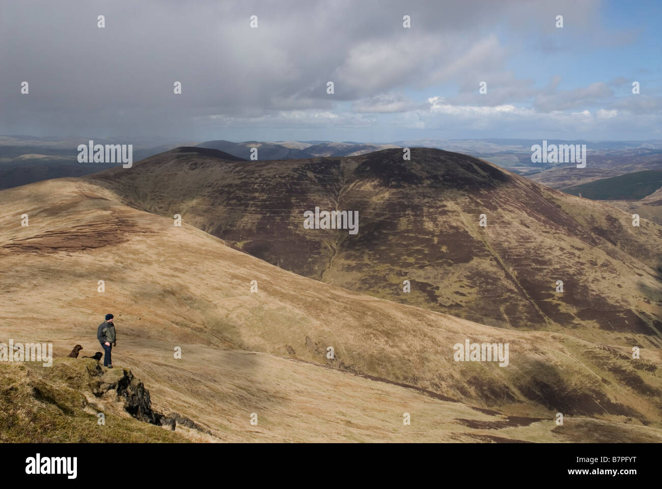 Hill walker and dogs on Chapelgill hill viewed from Culter Fell South ...