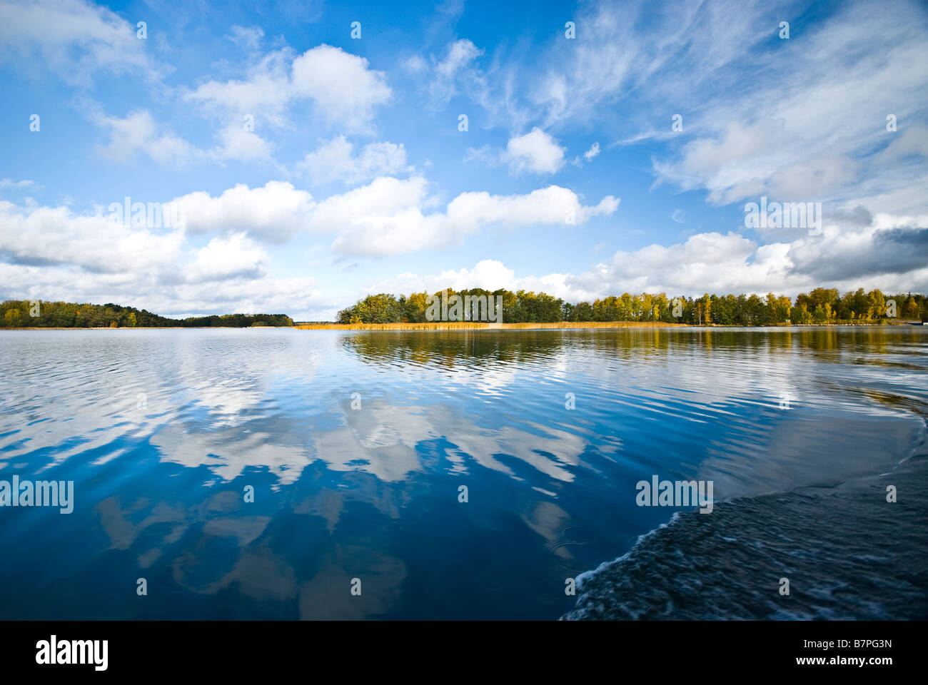 Still Water Reflection