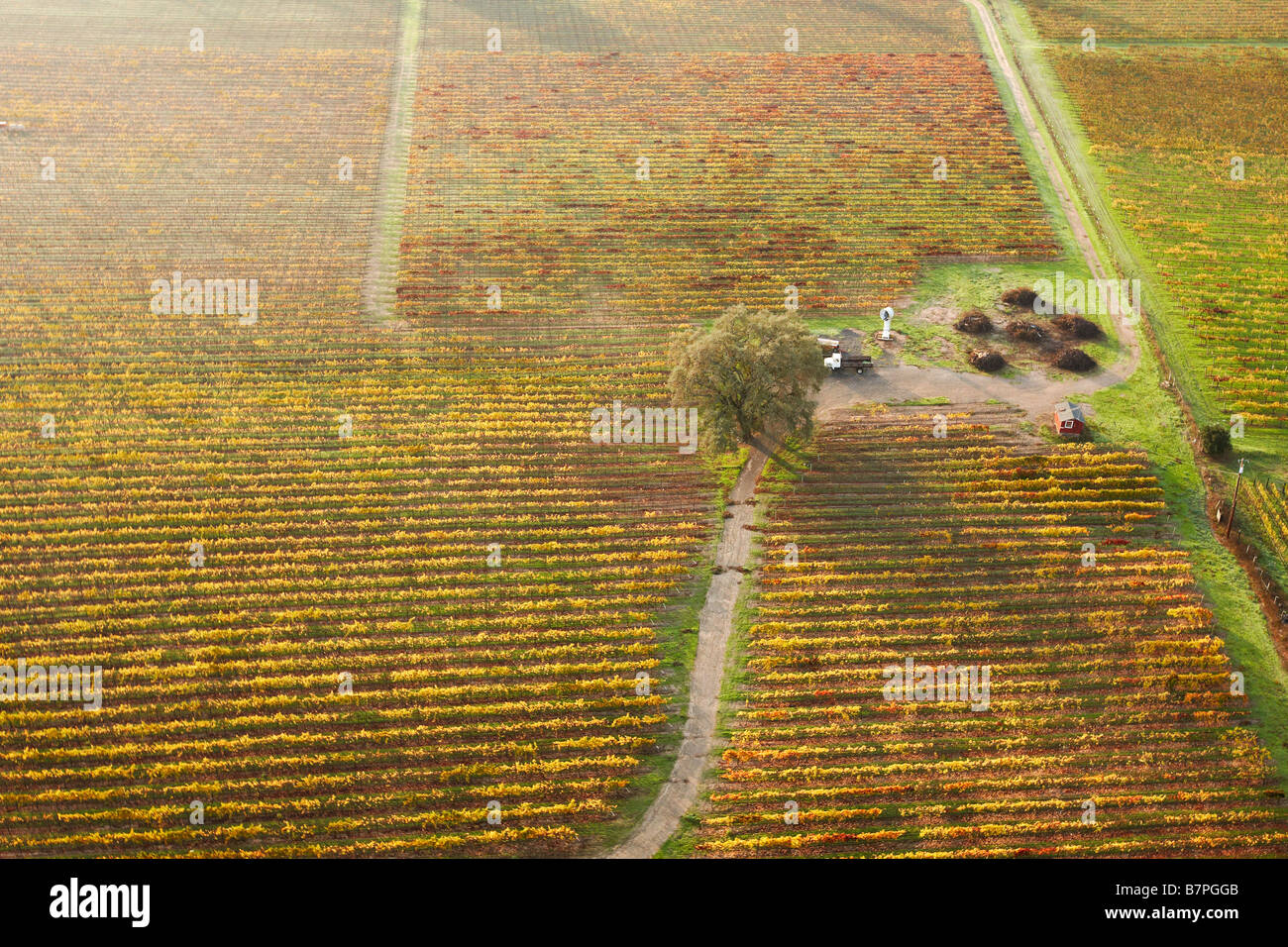 Aerial view vineyards in napa hi-res stock photography and images - Alamy