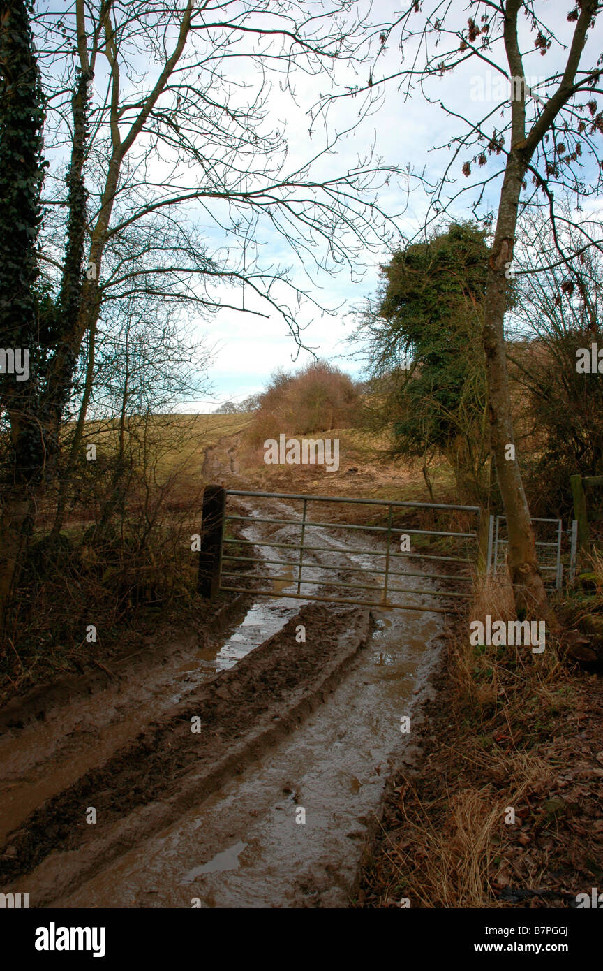 Muddy tracks field hi-res stock photography and images - Alamy