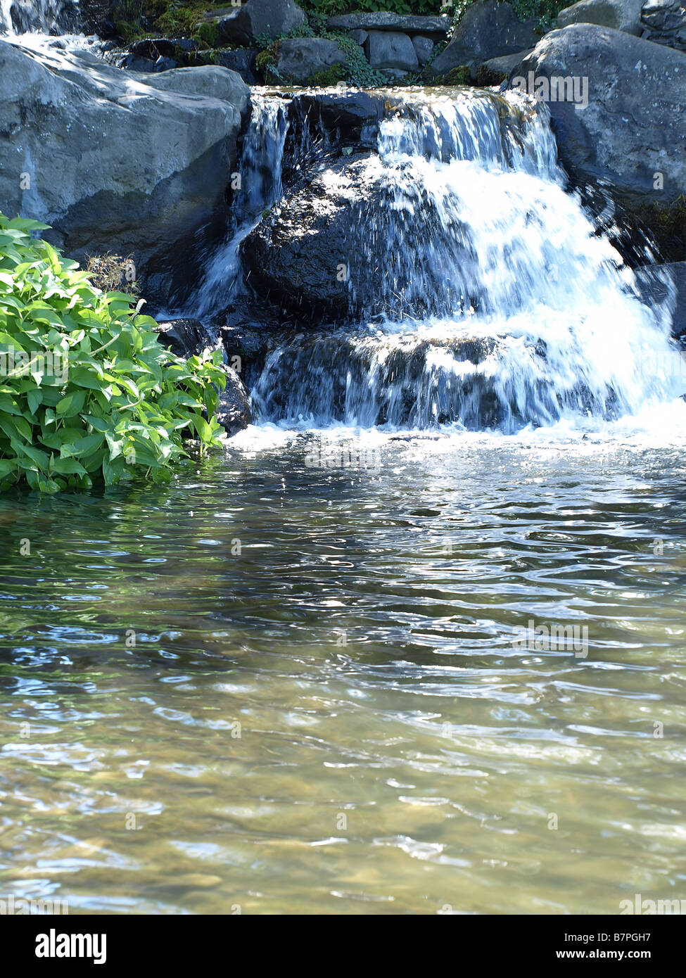 Water flows over several rocks forming a small waterfall in a man made ...