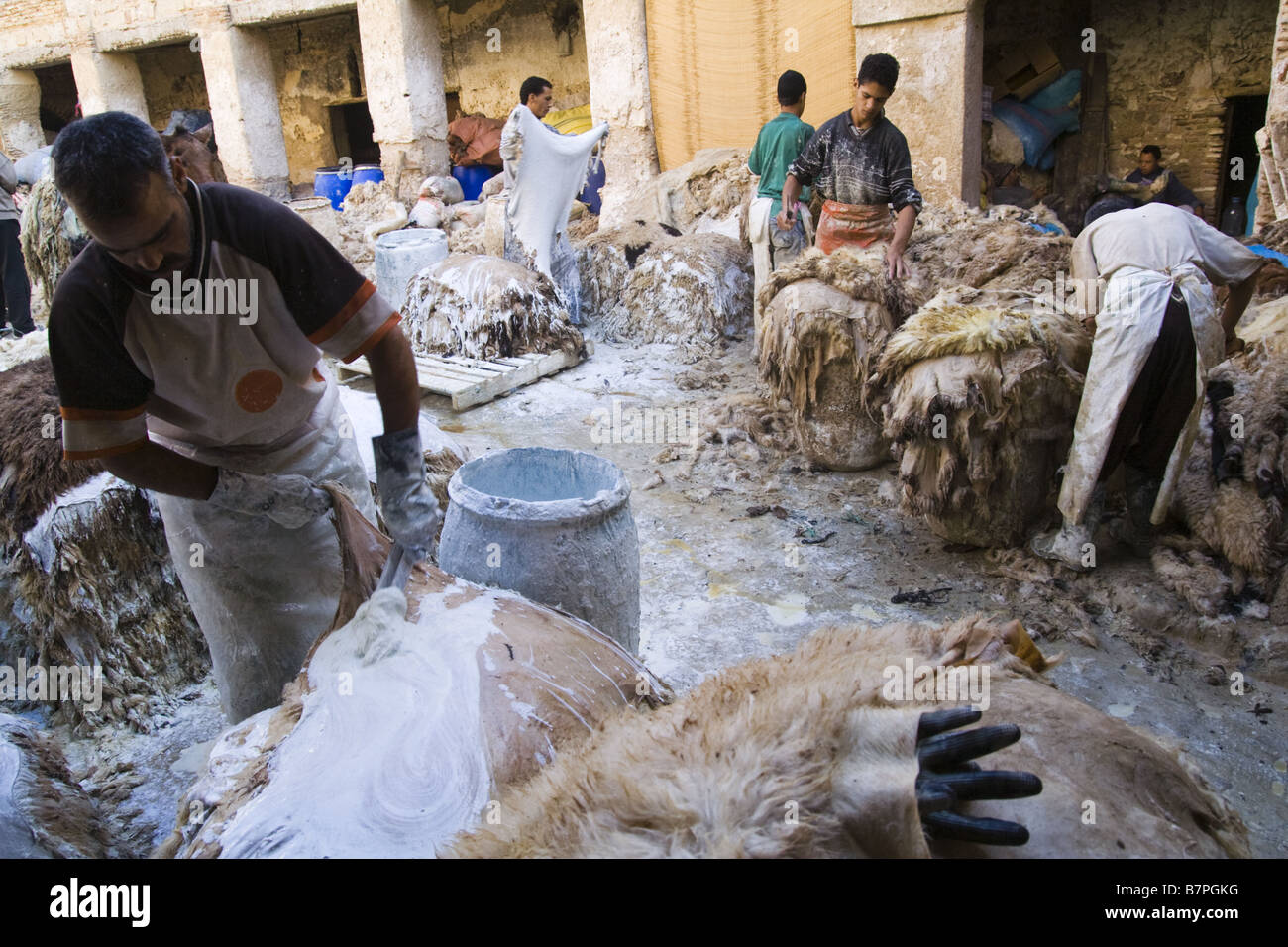 Workers at the Berber leather tannery Stock Photo - Alamy