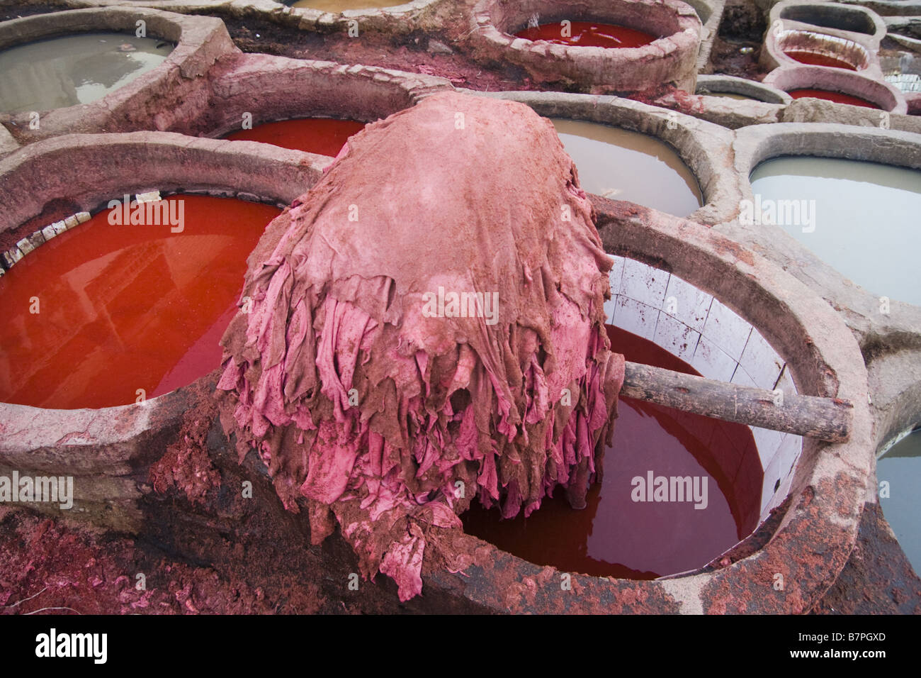 A pile of dyed sheep skins dry over colorful red tanning pits Stock ...
