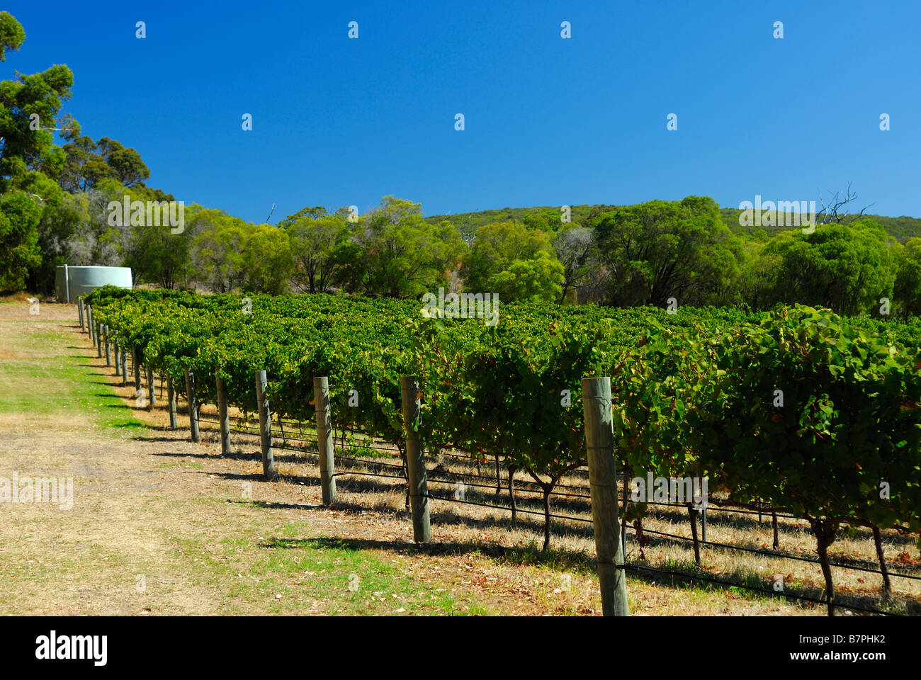 Western australia margaret river area hi-res stock photography and ...