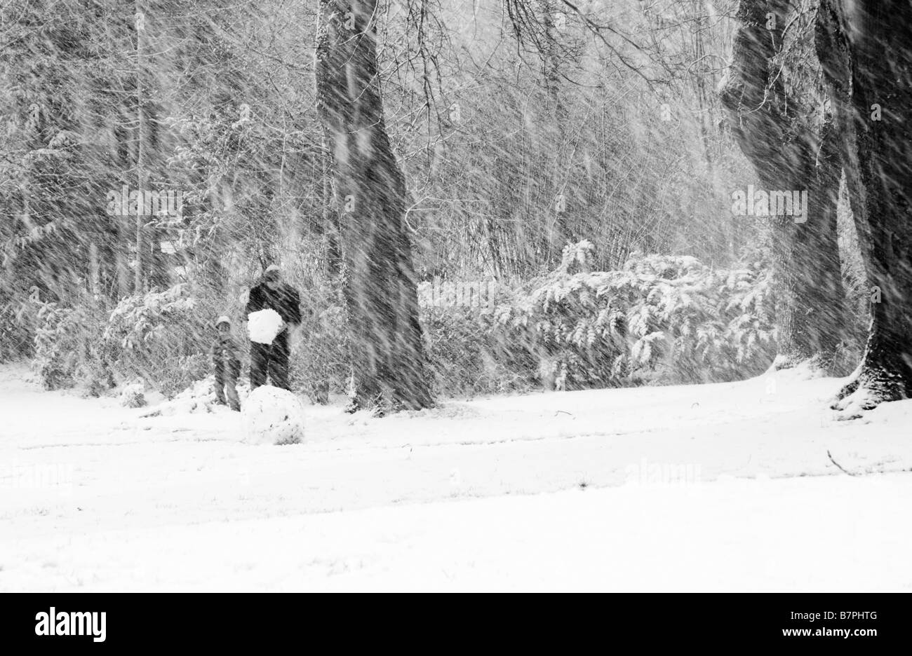 Son the blizzard family hi-res stock photography and images - Alamy