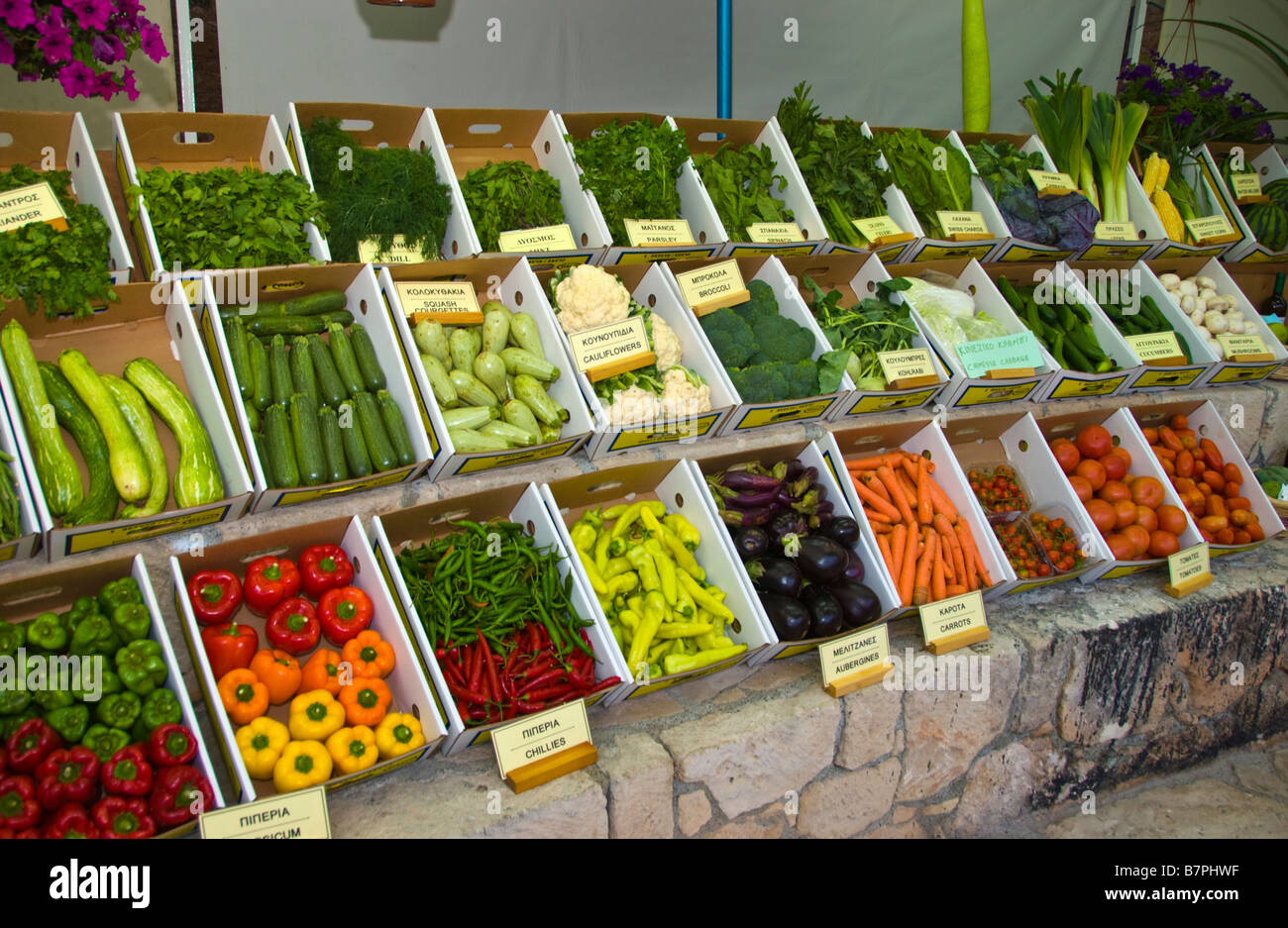 Display of Cypriot vegetable produce at the 24th Ayia Napa Festival on ...