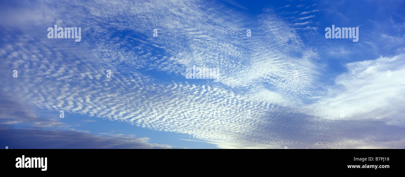 Cirrocumulus clouds in sky over Florida Stock Photo - Alamy
