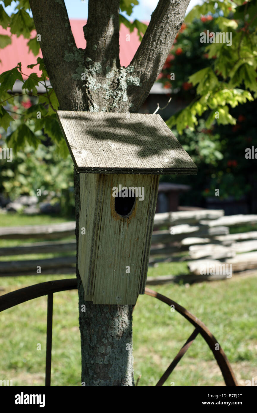 Farm barn board bird house with rusted tractor wheel resting on tree ...