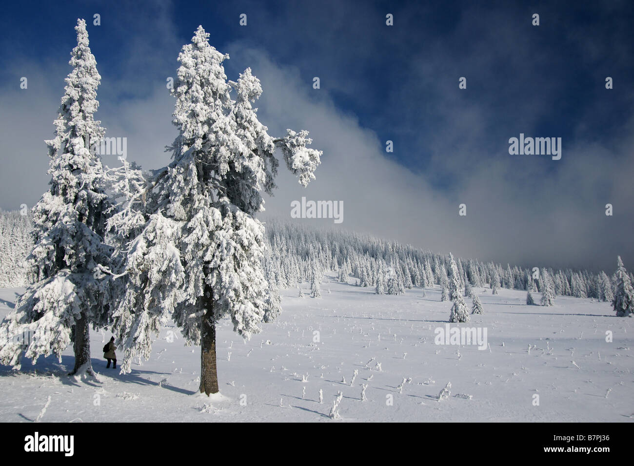 Under heavy snow hi-res stock photography and images - Alamy