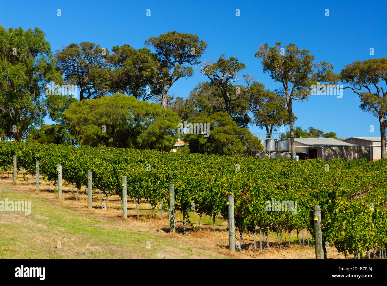 Western australia margaret river area hi-res stock photography and ...