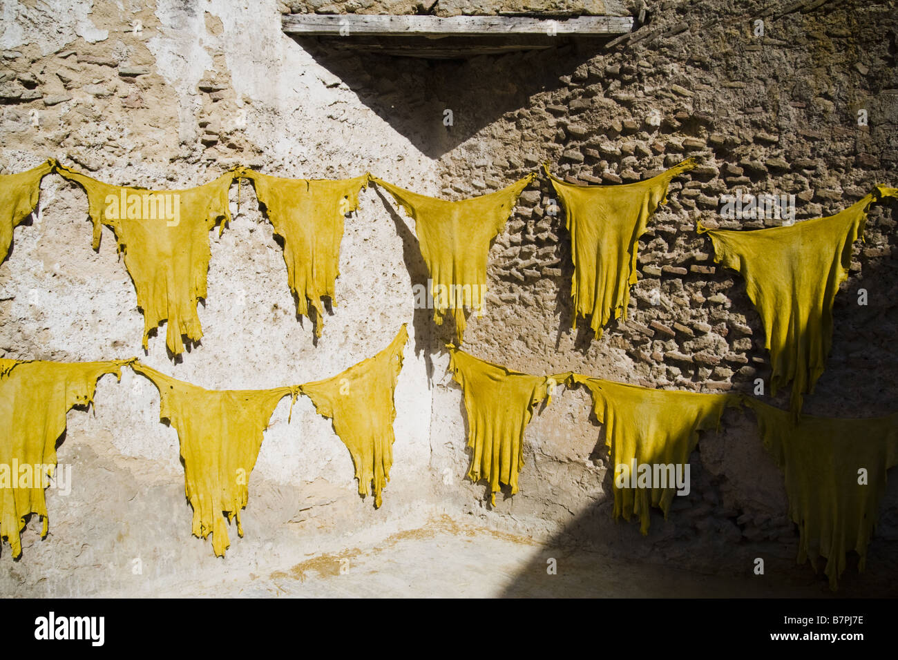 Sheep skins dyed bright yellow Stock Photo - Alamy