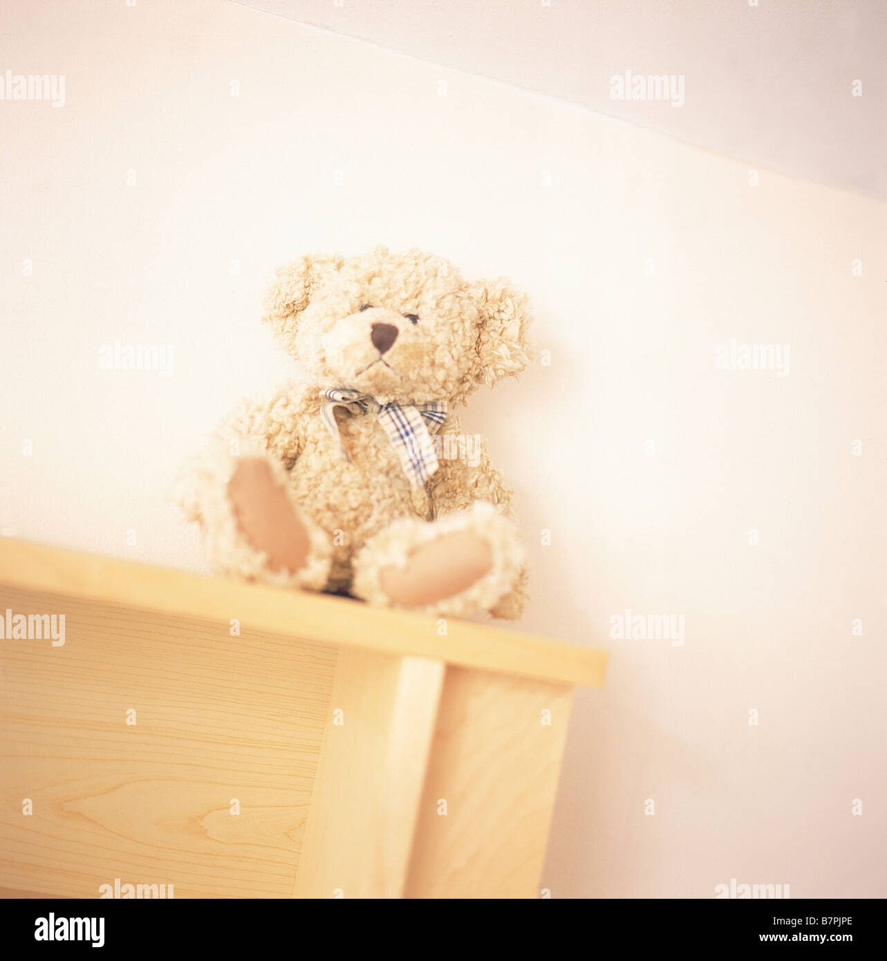 Teddy bear on shelf in room Stock Photo - Alamy