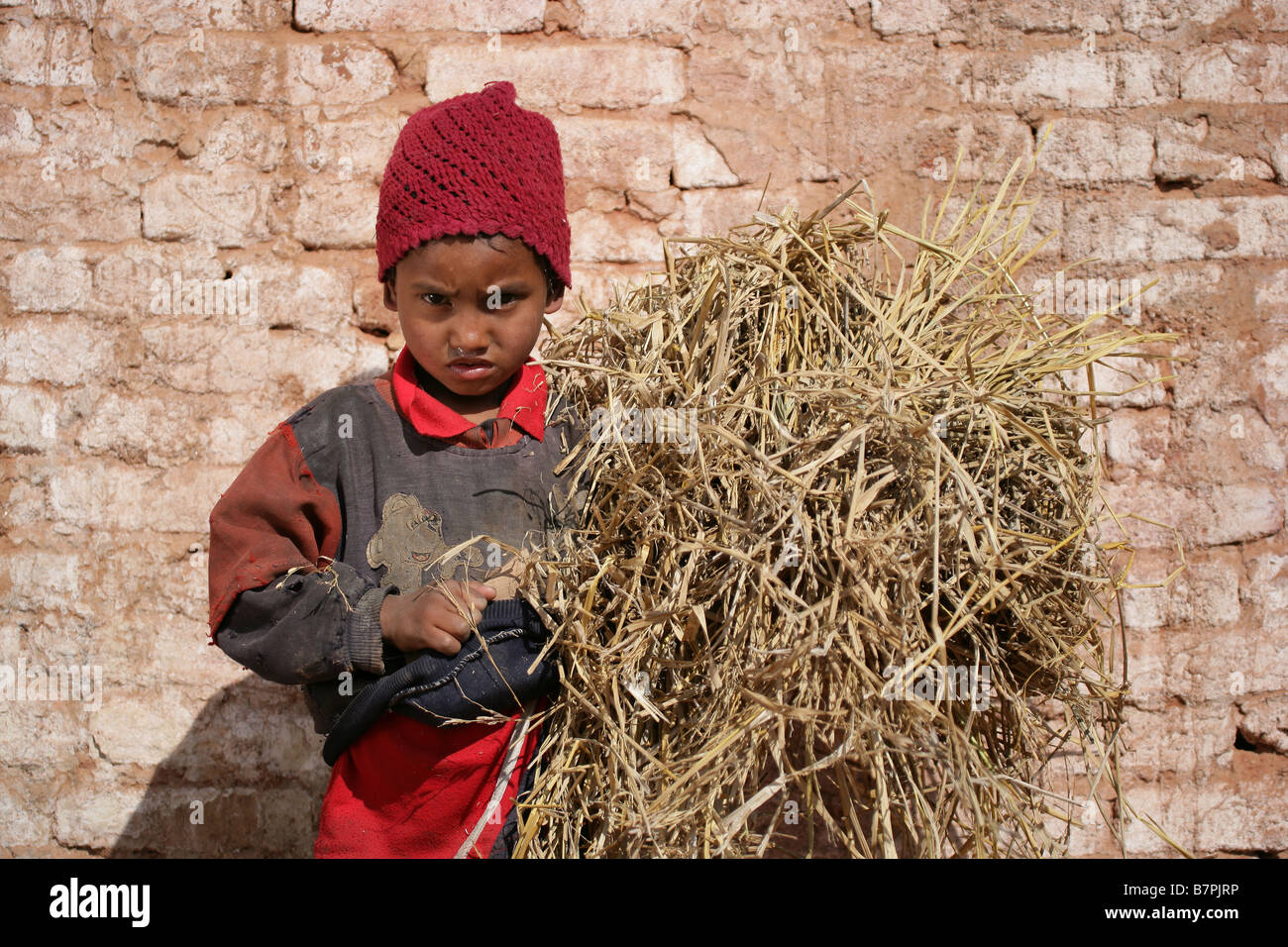 Boy with hay Kathmandu Stock Photo - Alamy