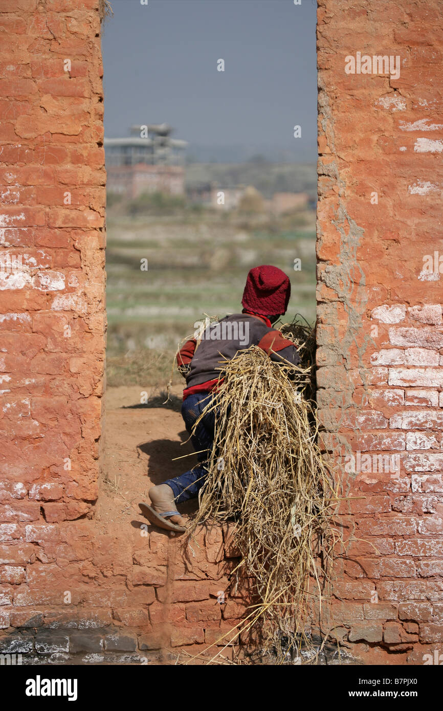 Boy with hay Kathmandu Stock Photo - Alamy