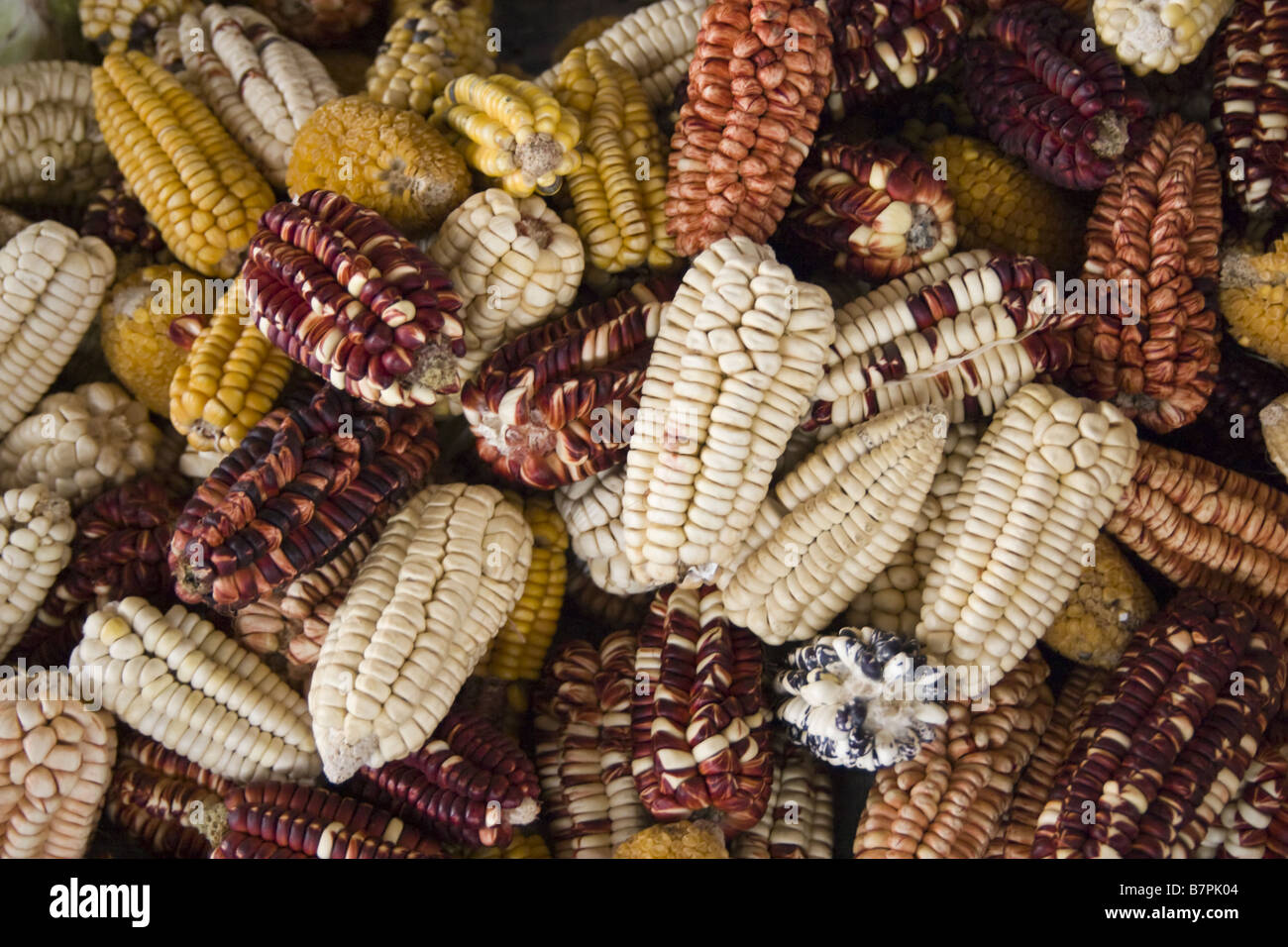 Cusco corn hi-res stock photography and images - Alamy